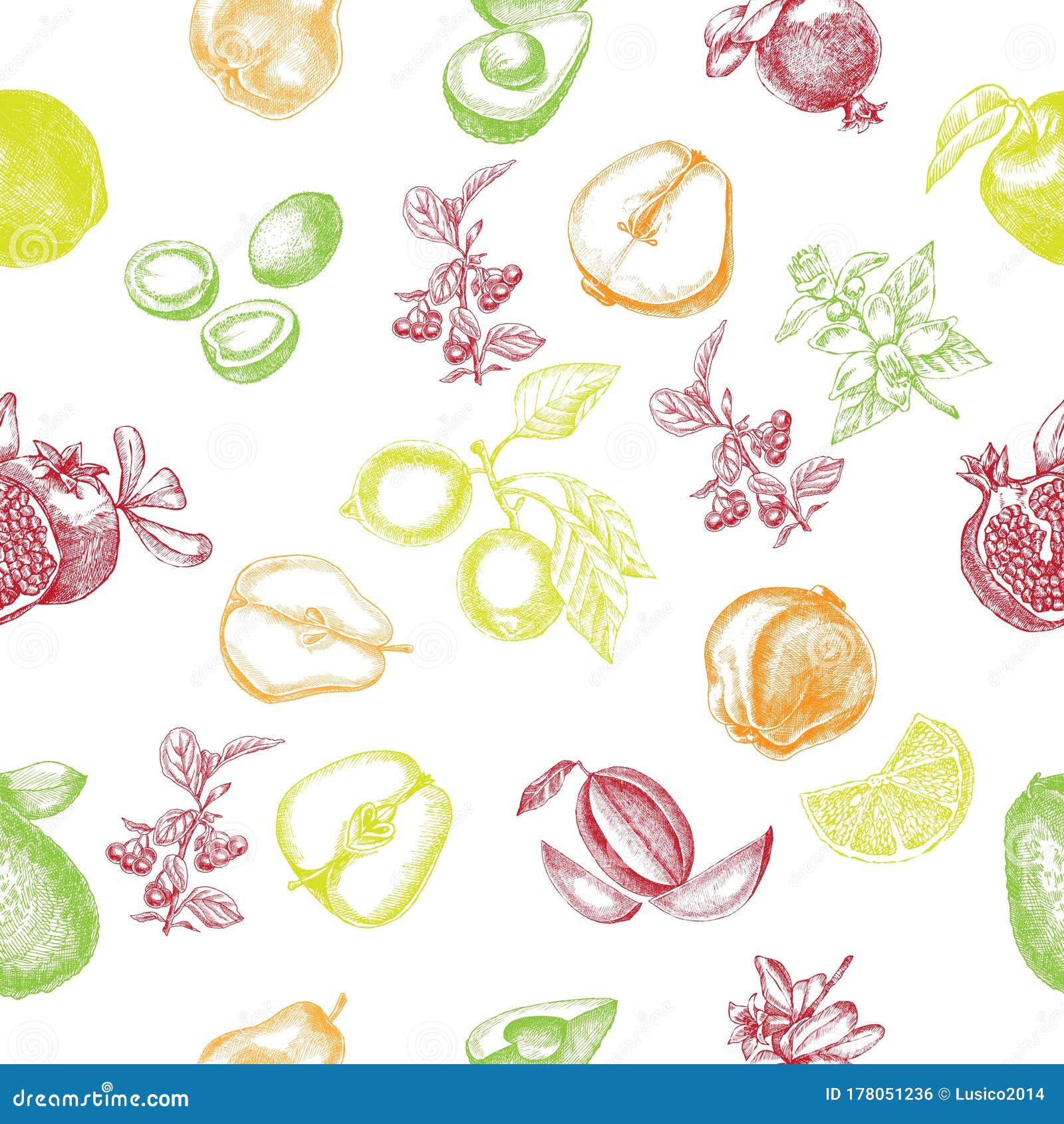 Hand Drawing Colorful Fruit Pattern. Stock Illustration - Illustration ...