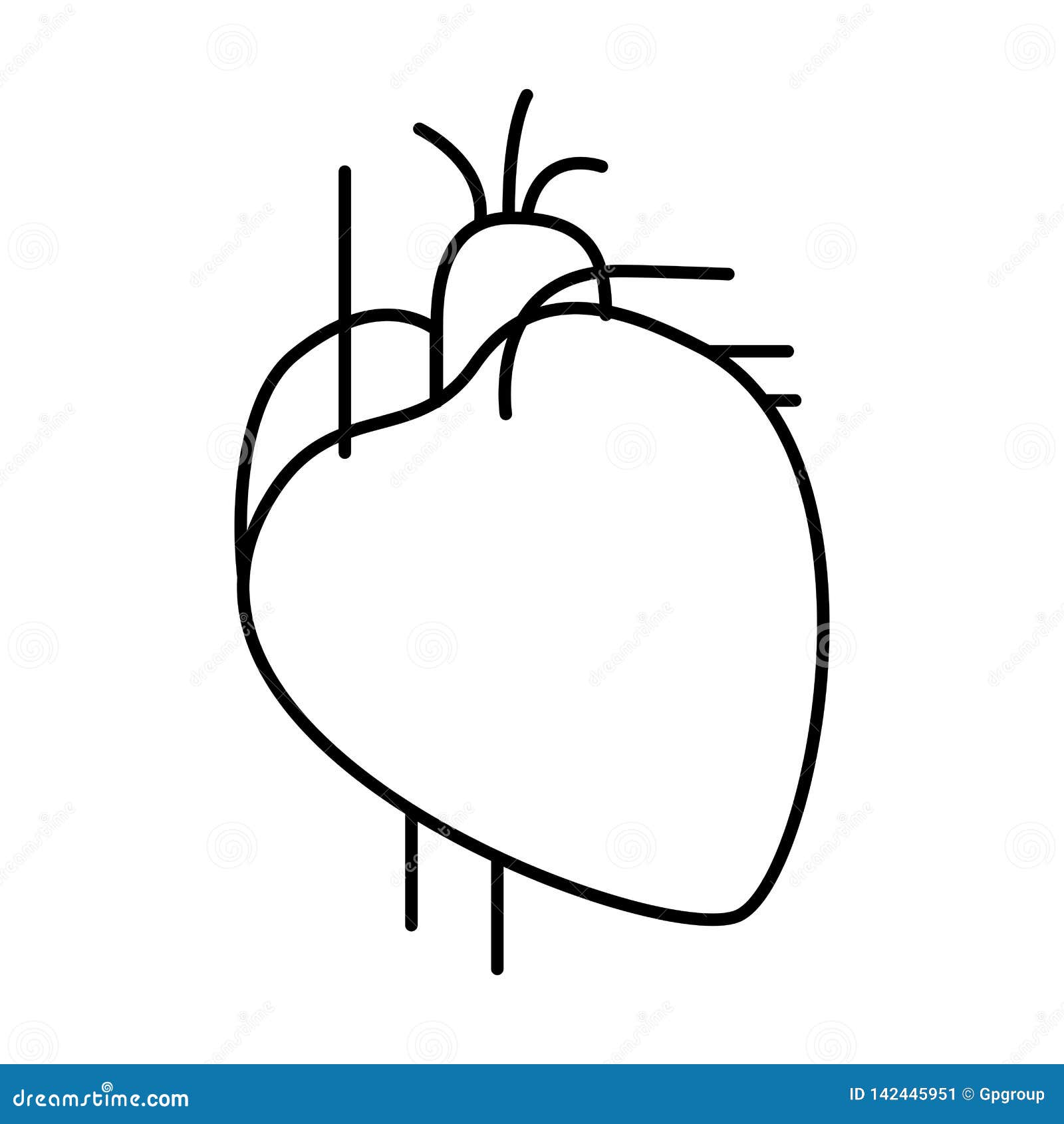 Hand Drawing Contour Heart System Human Body Stock Vector ...