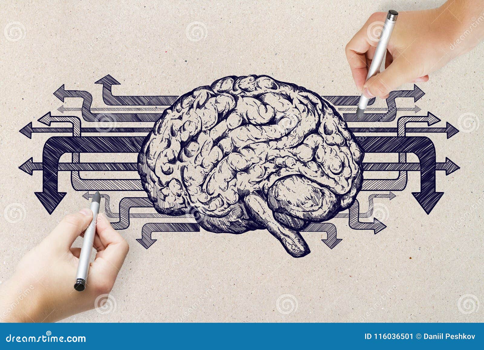 Brainstorm and Plan Concept Stock Image - Image of doodle, brainstorm ...