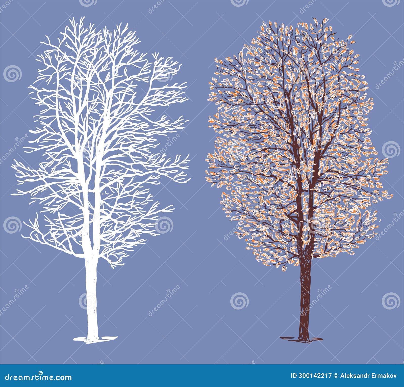 Hand Drawing of Deciduous Tree in Winter Season Stock Illustration ...