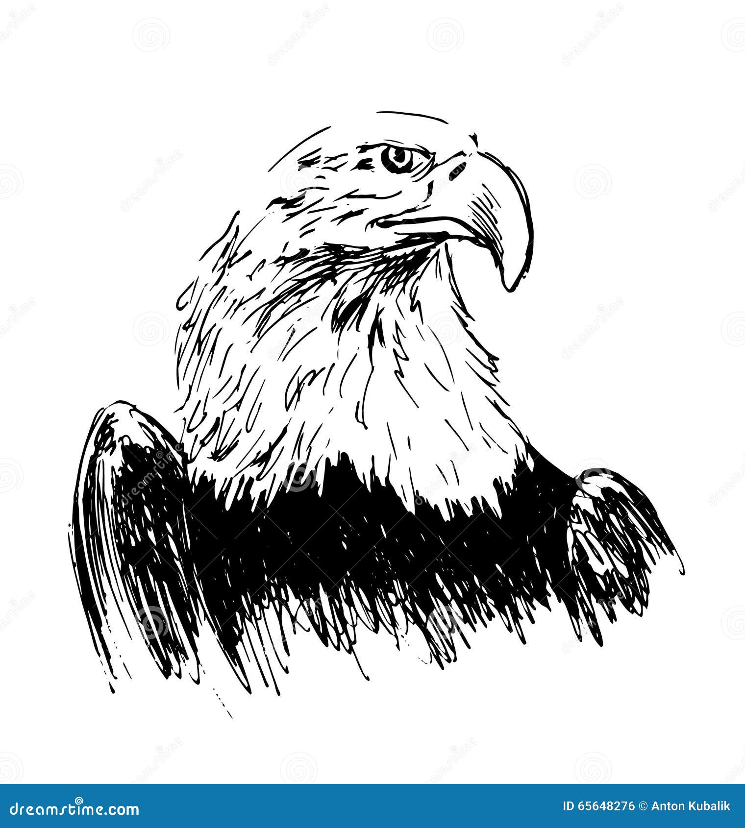 Hand drawing eagle stock vector. Illustration of design - 65648276