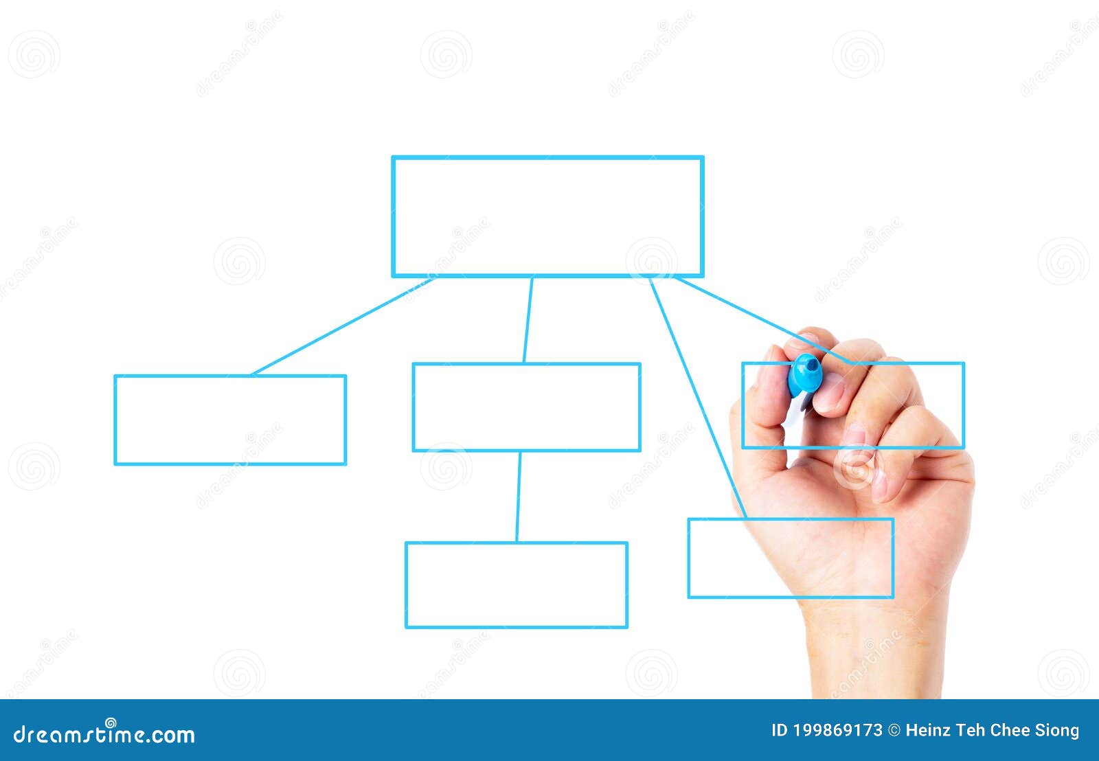 Hand Drawing Empty Diagram with Blue Marker Stock Image - Image of ...