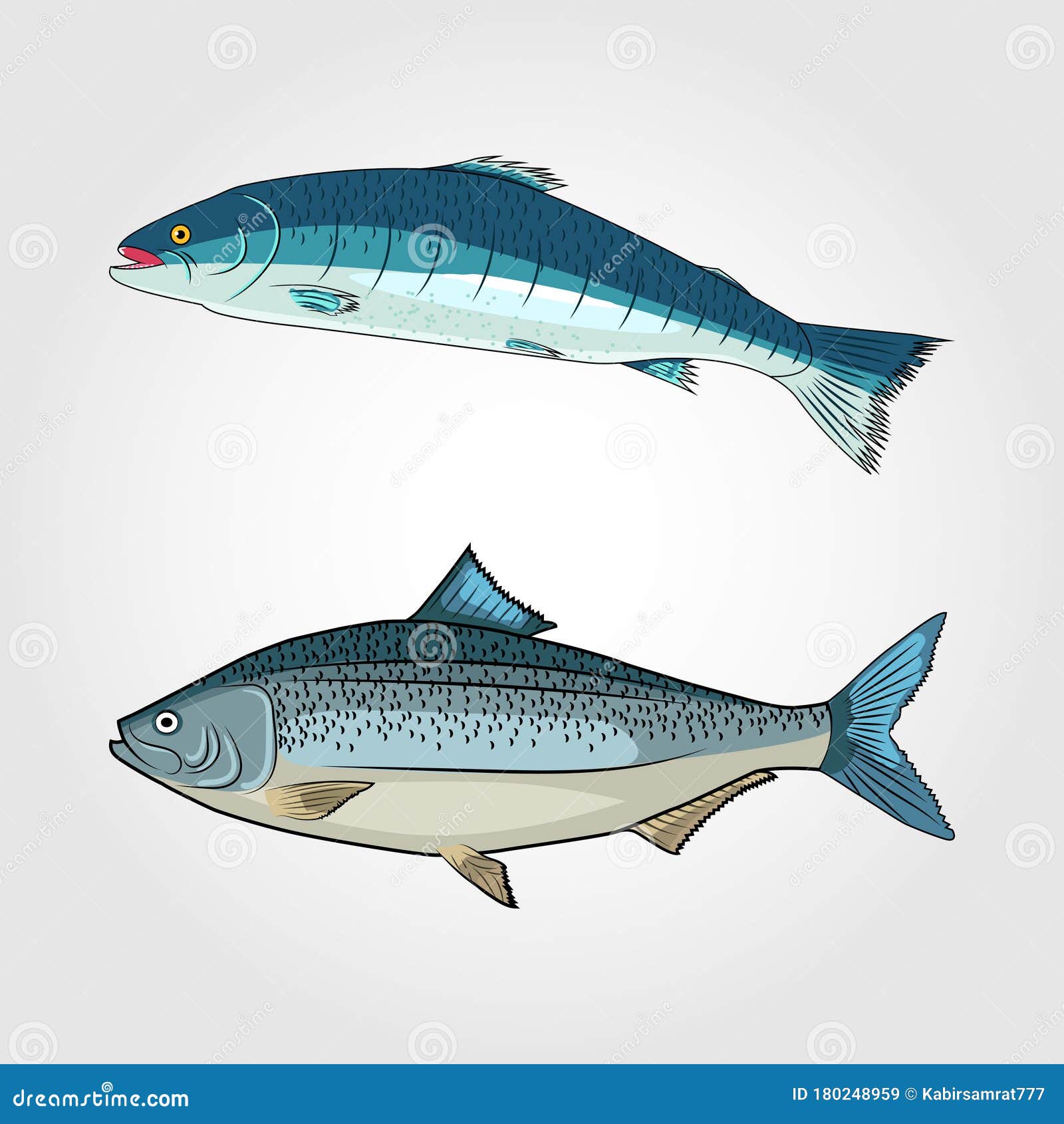 Hand Drawing Fish Vector Illustration Stock Vector - Illustration of ...