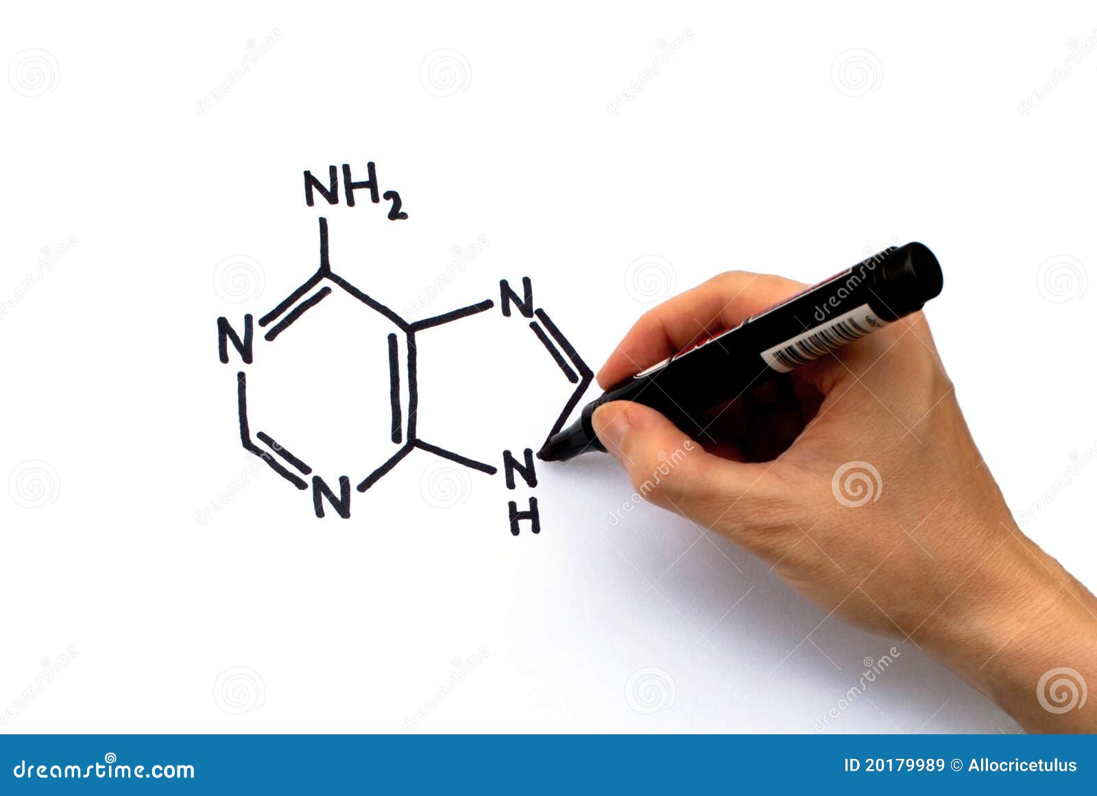 Adenine Molecular Structure 3d, Flat Model, Purine Nucleobase ...