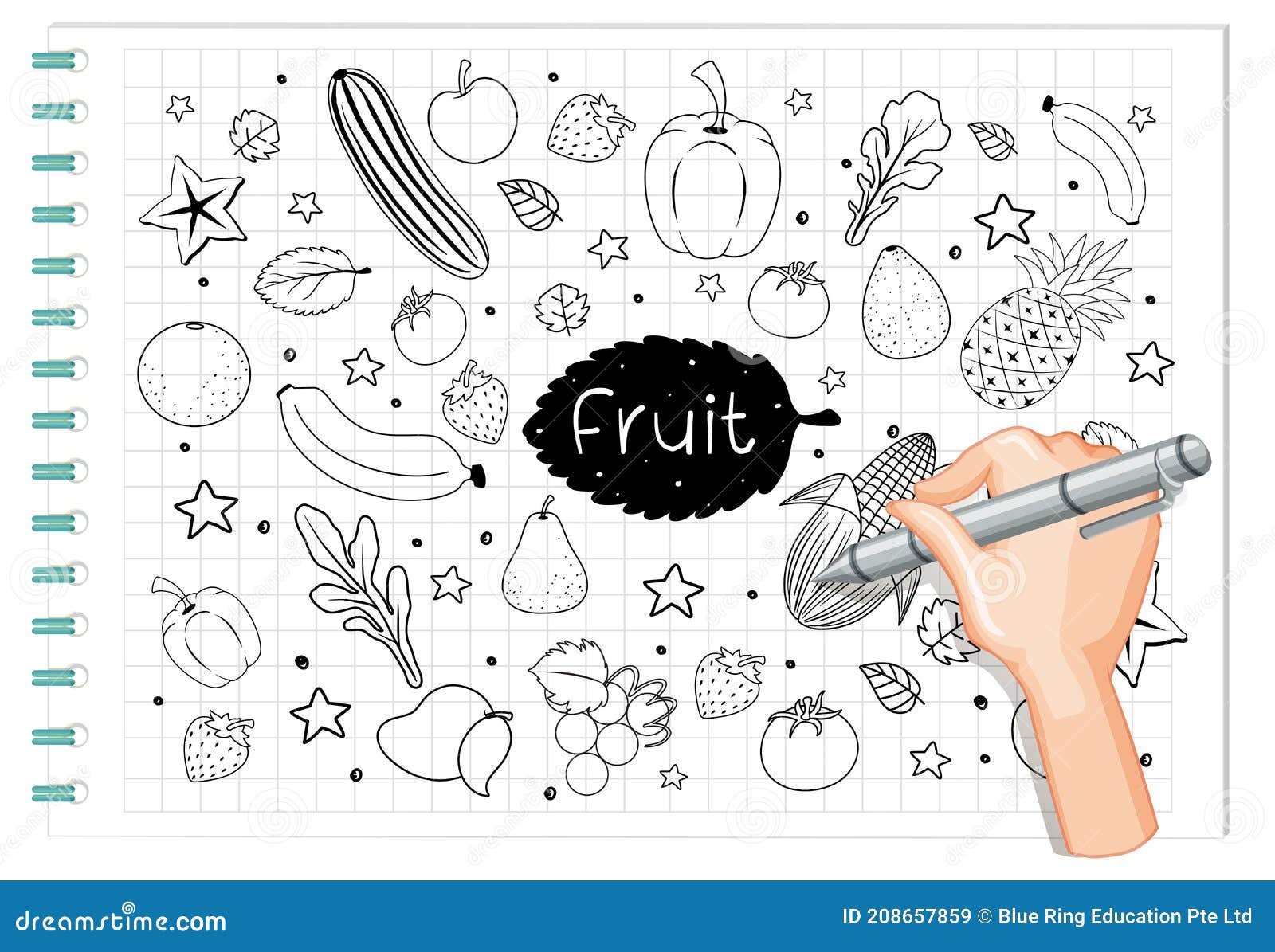 Hand Drawing Fruit in Doodle or Sketch Style on Paper Stock Vector ...