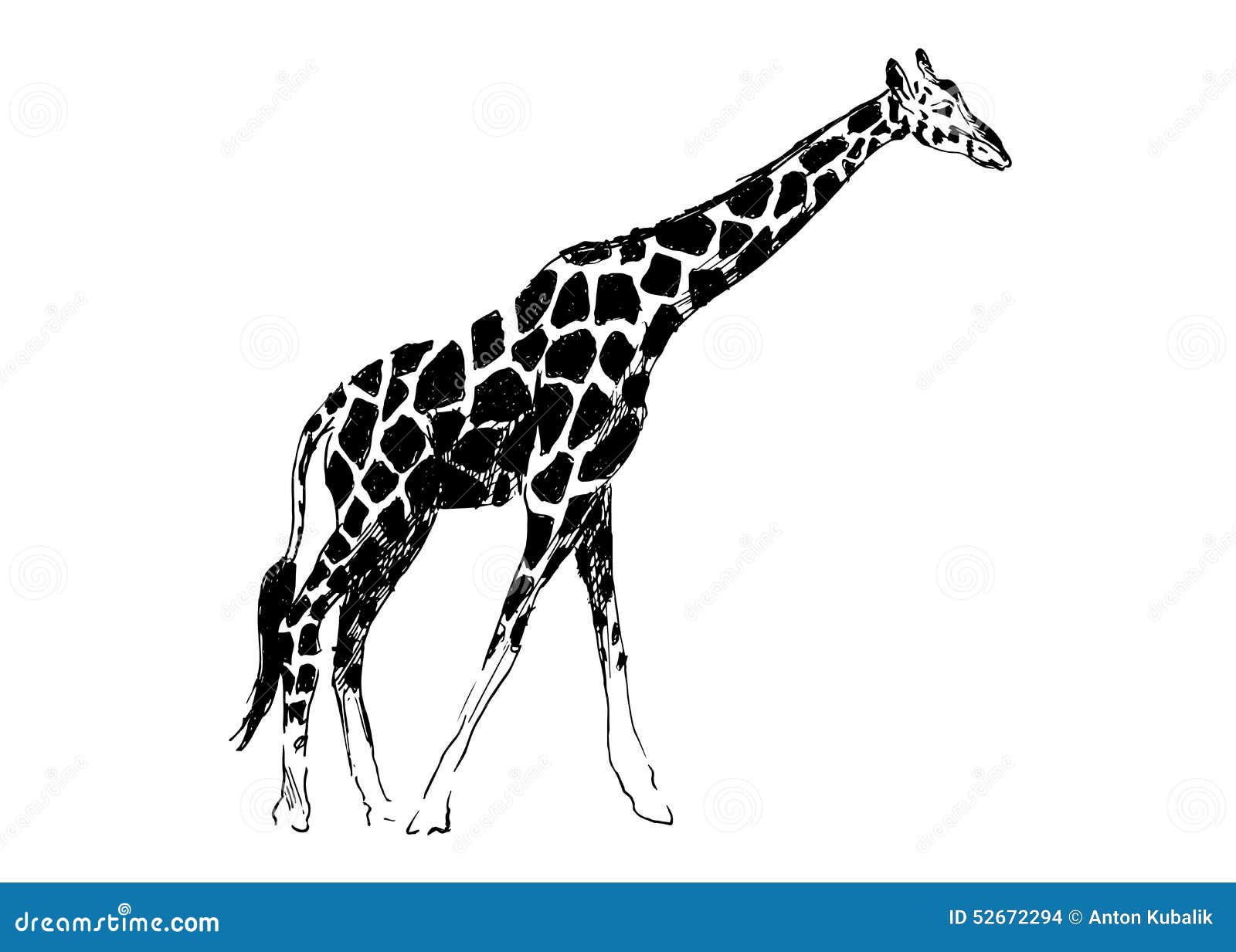 Hand drawing giraffe stock vector. Illustration of body - 52672294