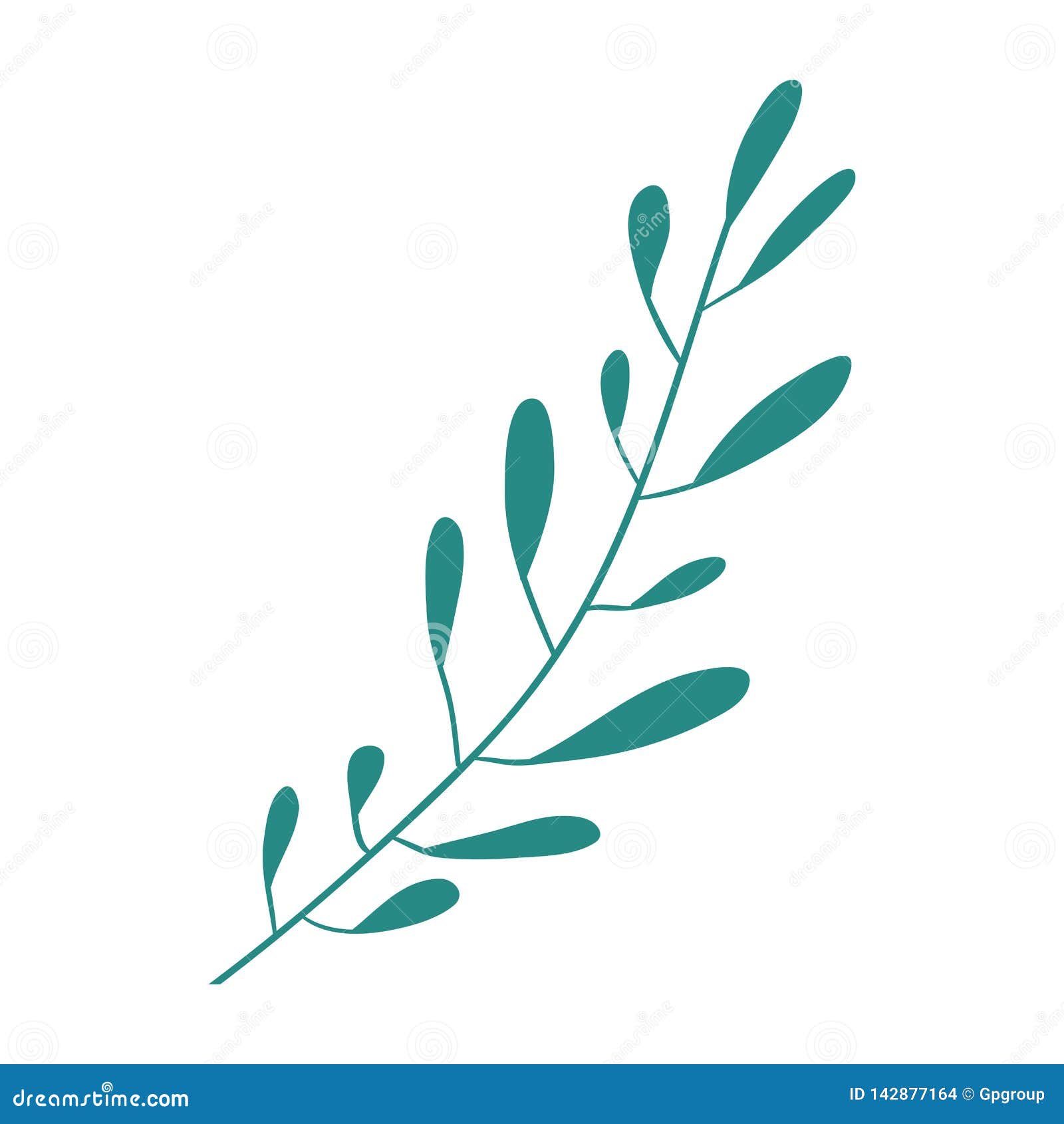 Hand Drawing Green Color Leaf Oval Shape with Several Ramifications ...