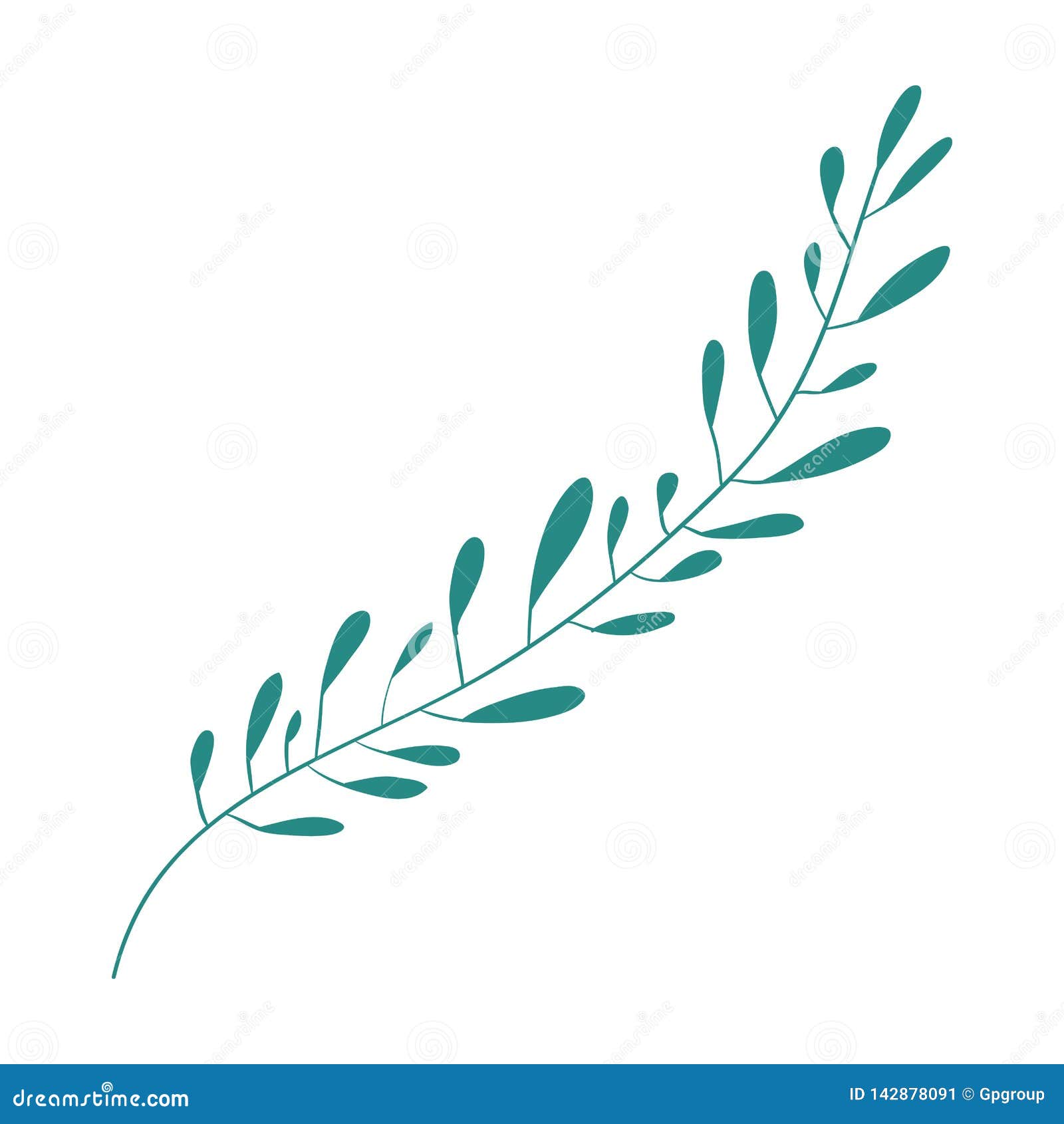 Hand Drawing Green Color Leaf with Several Ramifications Stock Vector ...