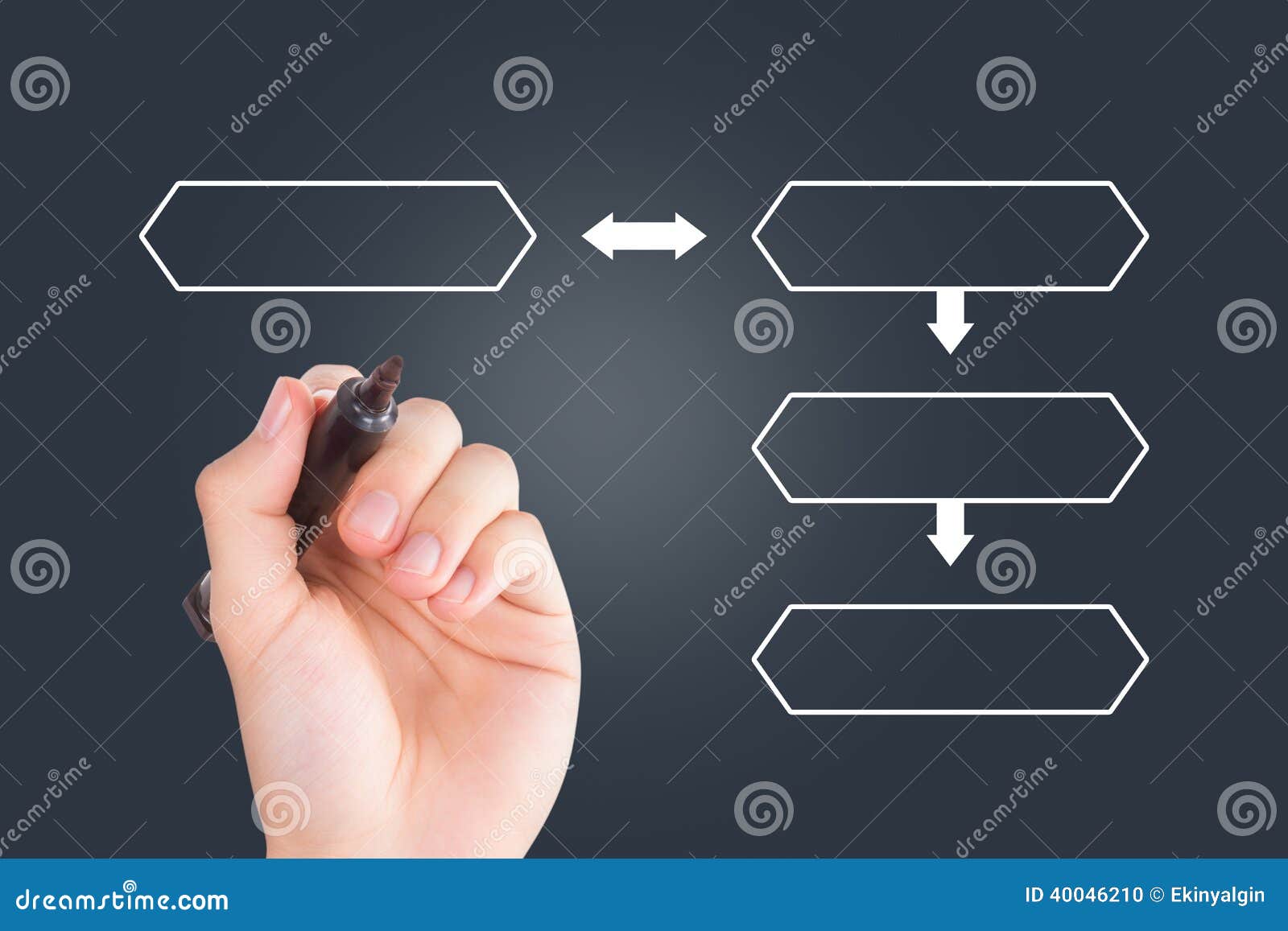 Hand Drawing Hierarchical Flow Chart Marker Stock Photos - Free ...
