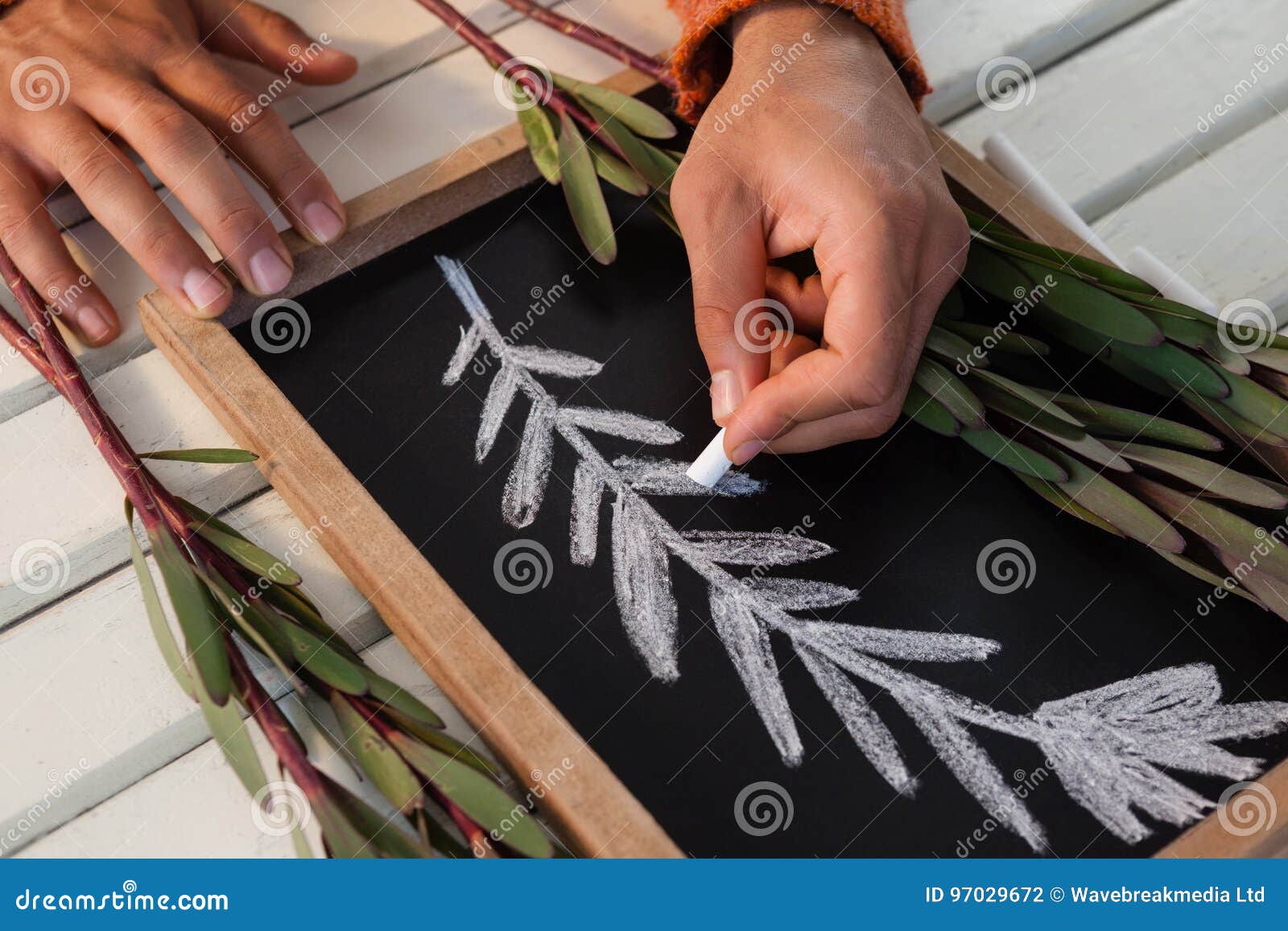 Hand Drawing Leaves on Slate Stock Photo - Image of ideas, leaves: 97029672
