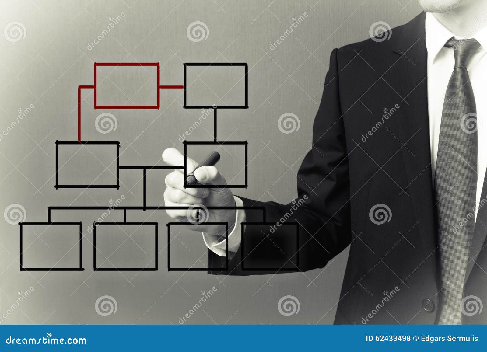 Hand Drawing an Organization Chart on a Board Stock Photo - Image of ...