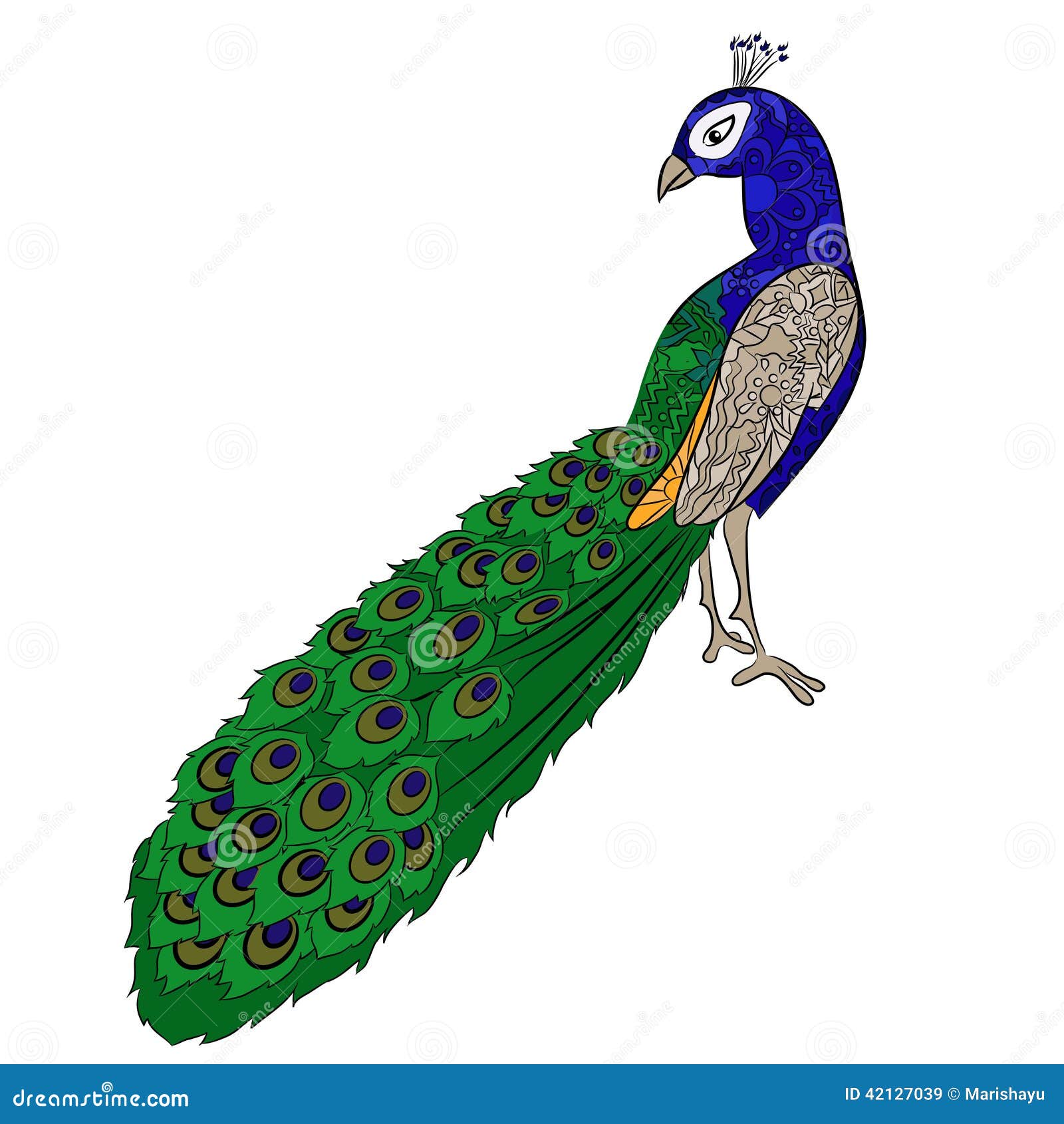 Hand drawing peacock stock vector. Illustration of leaf - 42127039