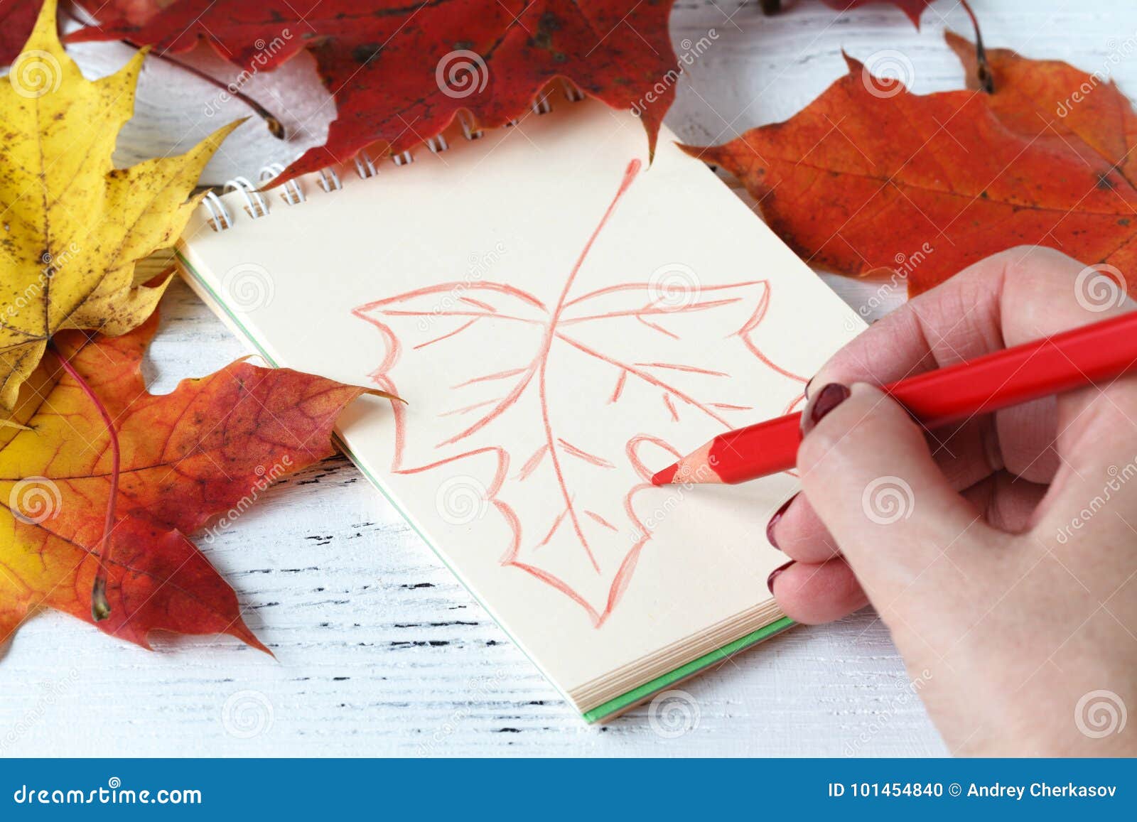 Hand Drawing with Pen and Sketchbook. Autumn Leaves Stock Photo - Image ...