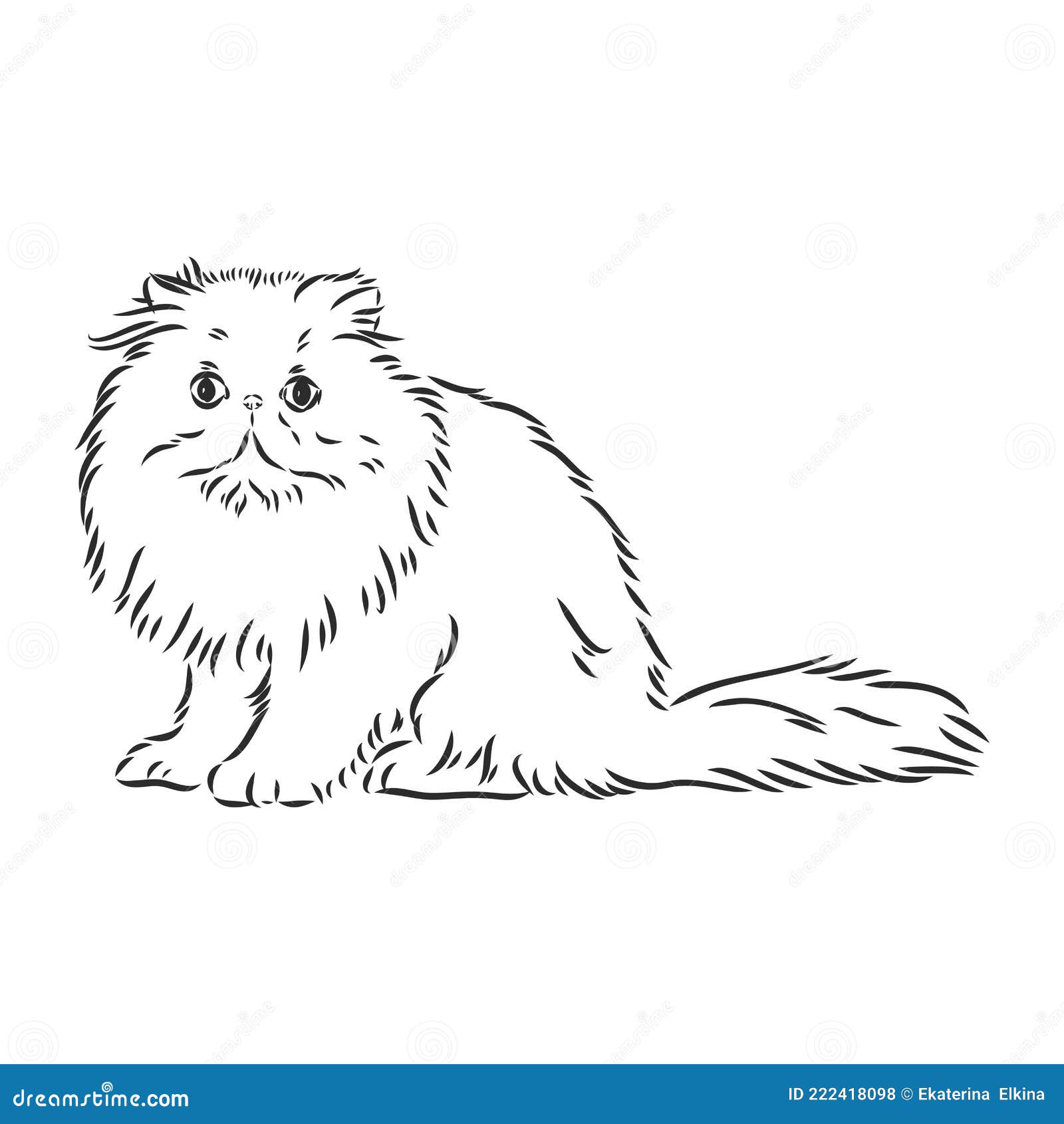 Hand Drawing Persian Cat Vector Version Persian Cat Vector Sketch Stock ...