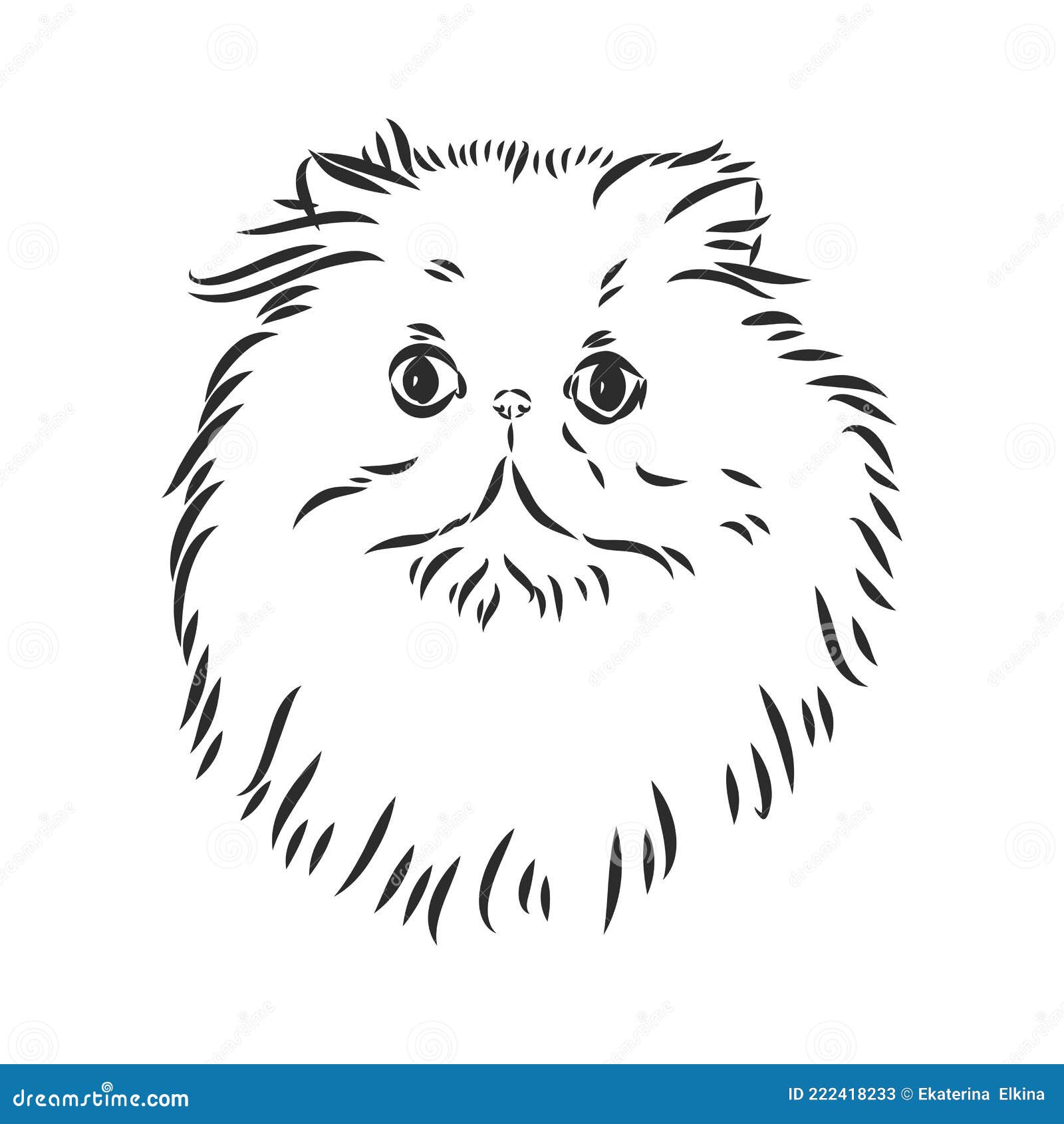 Hand Drawing Persian Cat Vector Version Persian Cat Vector Sketch Stock ...