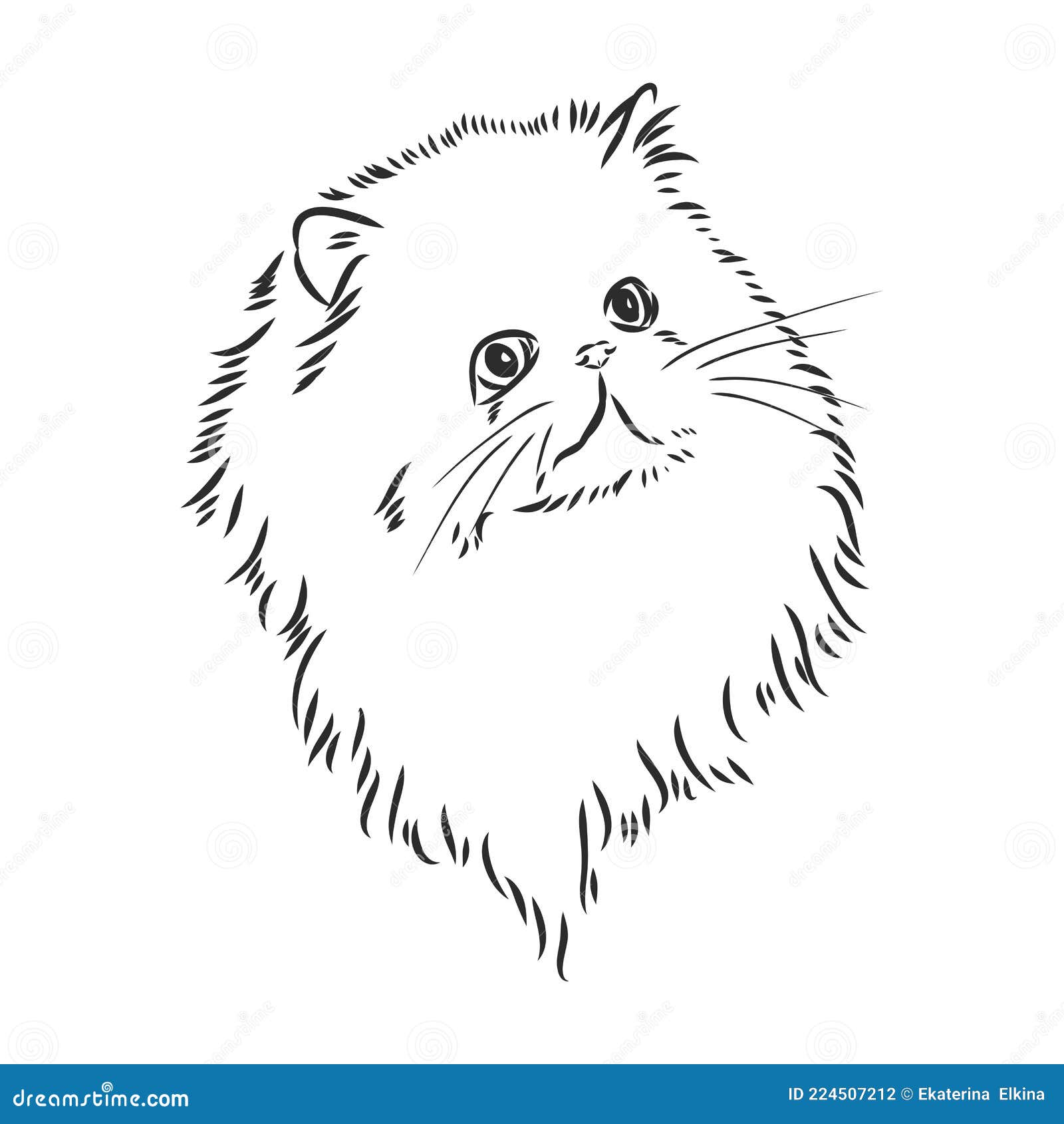 Hand Drawing Persian Cat Vector Version Persian Cat Vector Stock Vector ...