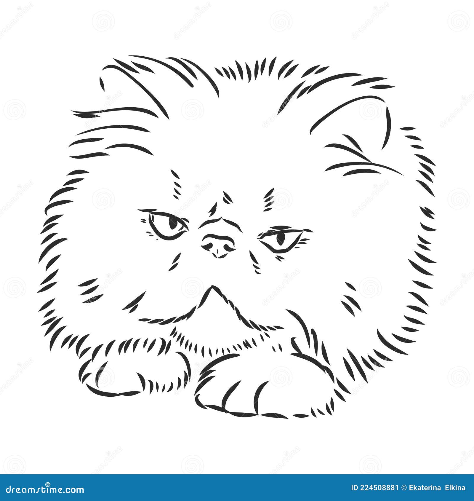 Hand Drawing Persian Cat Vector Version Persian Cat Vector Stock Vector ...