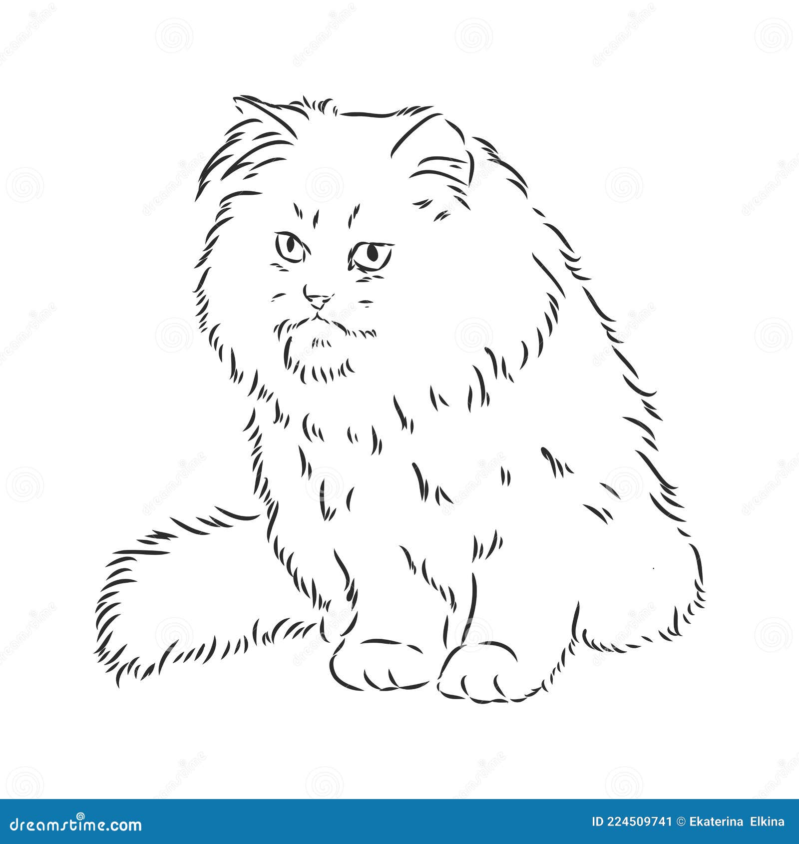 Hand Drawing Persian Cat Vector Version Persian Cat Vector Stock Vector ...
