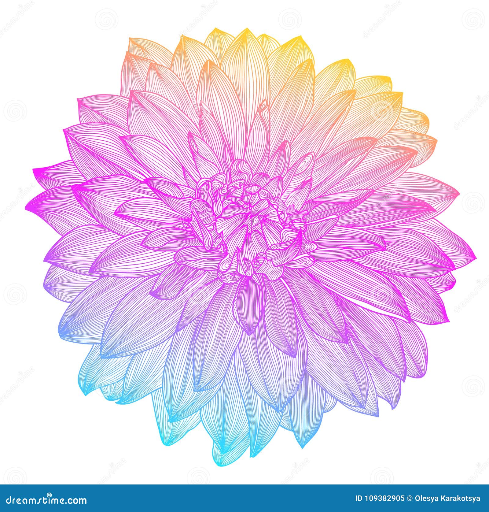 Hand Drawing Rainbow Flower, Vector | CartoonDealer.com #109382905
