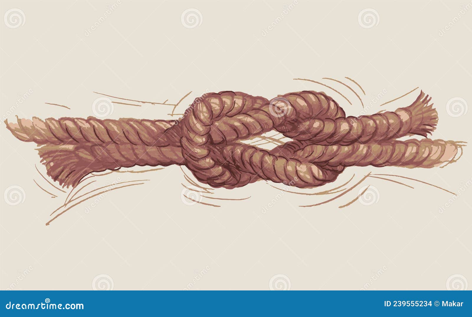 Hand Drawing Of Rigging Rope Tied In Sea Knot Vector Illustration ...