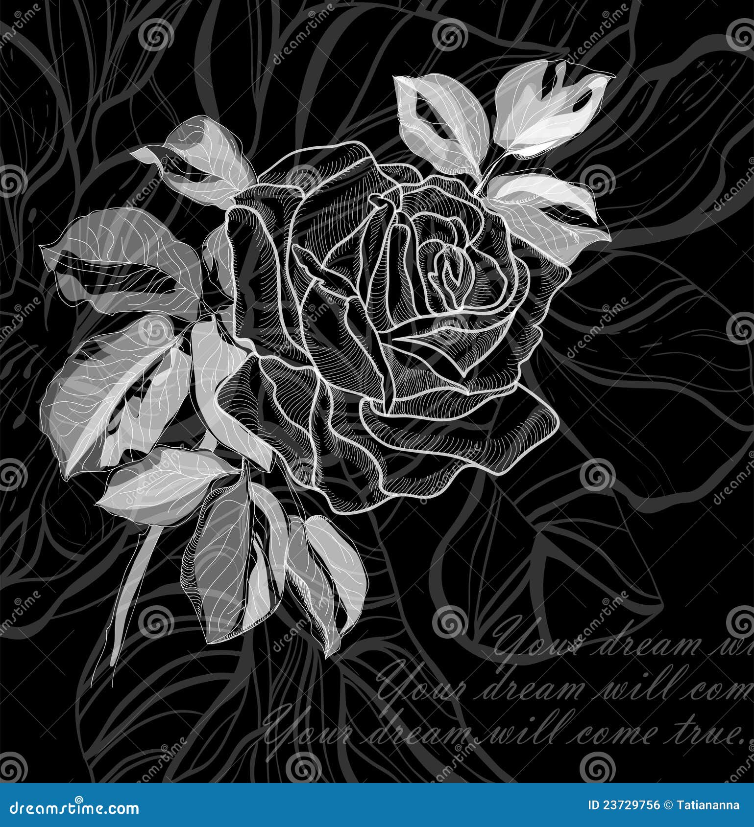 Hand drawing rose card stock vector. Illustration of element - 23729756