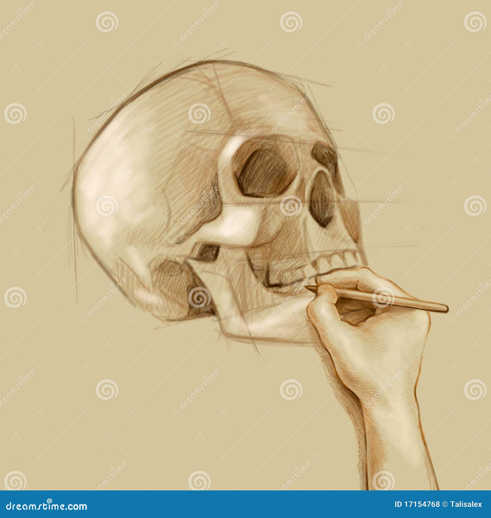 Hand drawing scull sketch stock illustration. Illustration of drawing ...
