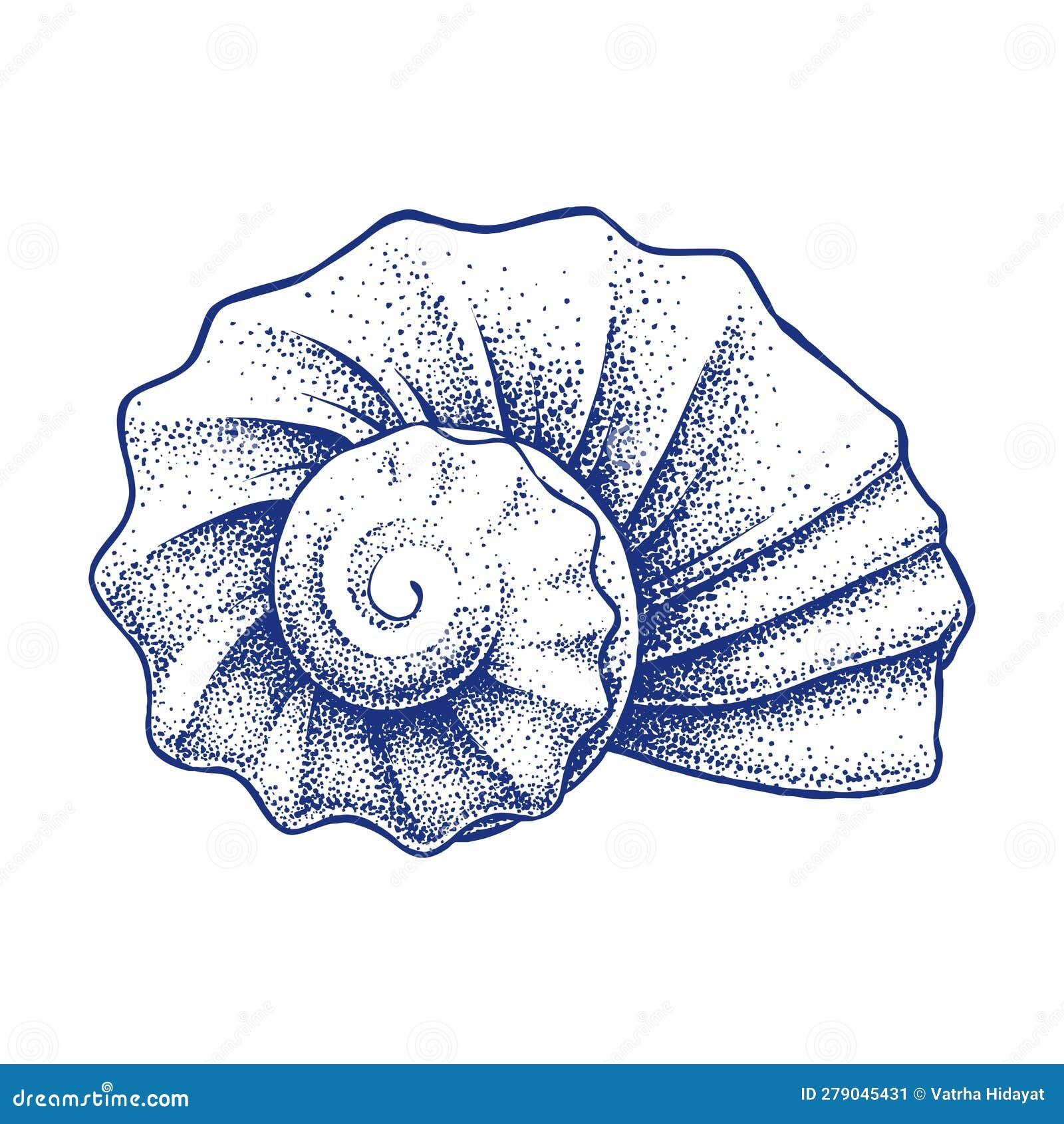 Hand Drawing of a Sea Shell Stock Vector - Illustration of exotic ...