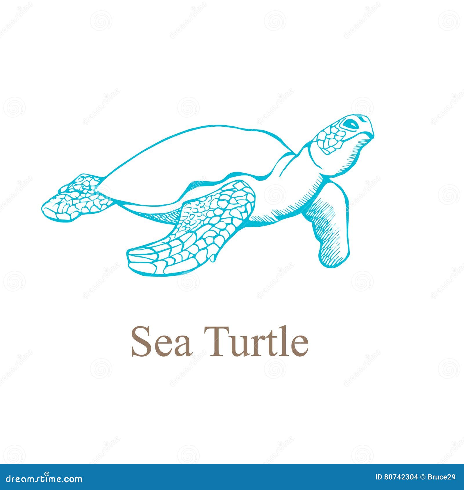 Hand Drawing of a Sea Turtle. Vector Illustration Stock Vector ...