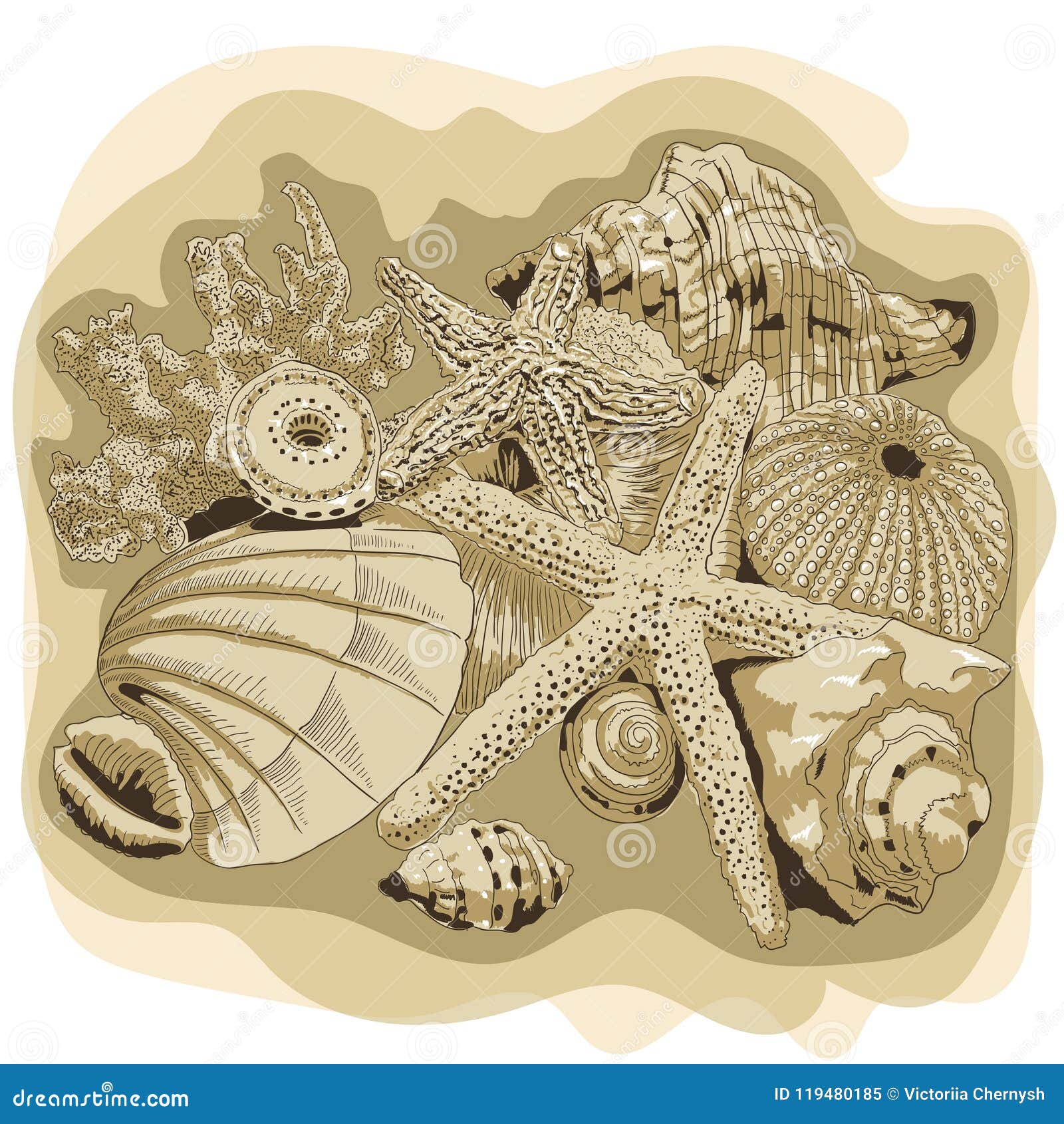 Hand Drawing with Shells and Corals Stock Vector - Illustration of ...