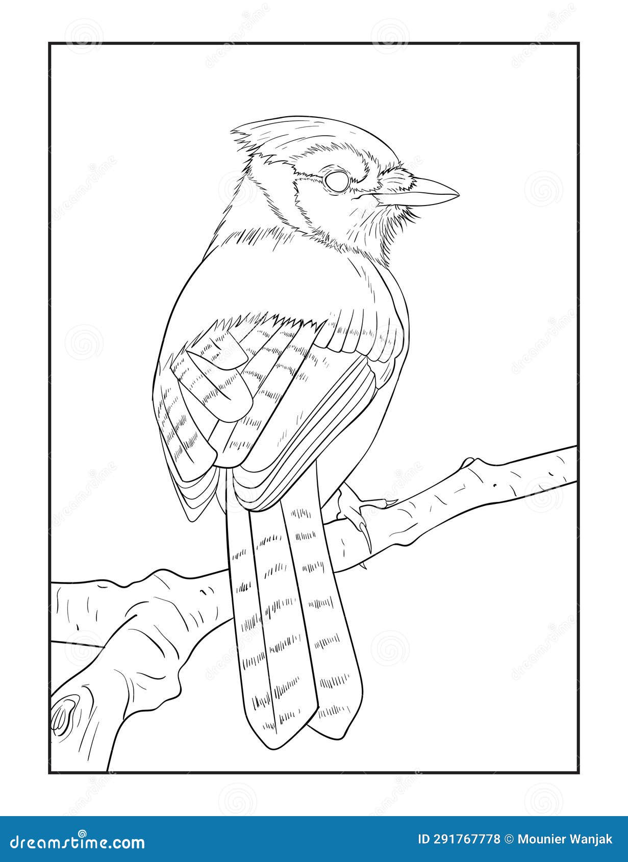 Blue Jay Bird Coloring Page Stock Vector - Illustration of cartoon ...