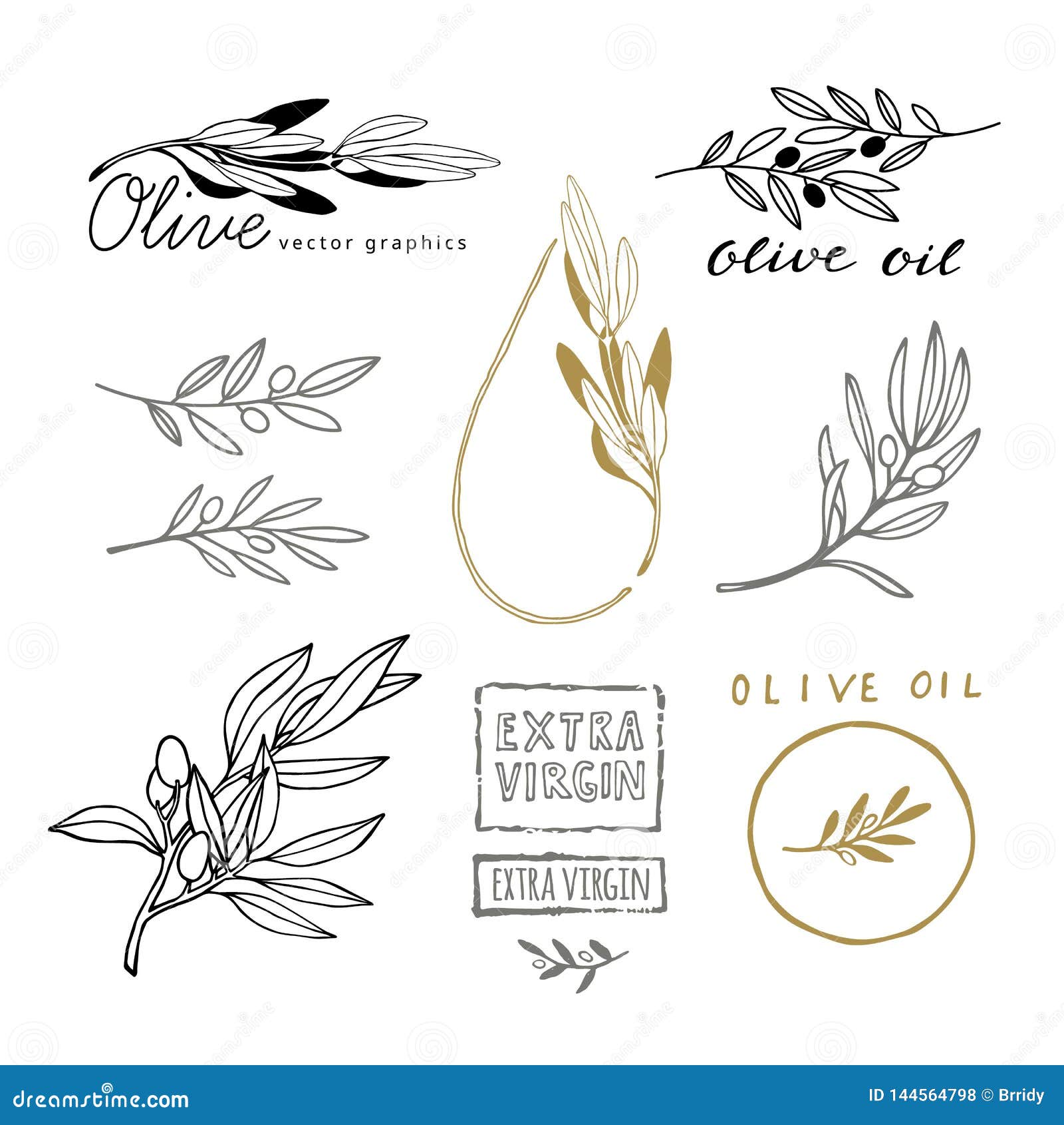 Hand Drawing Sketch Of Olive Branches With Olives. Design Elements For ...