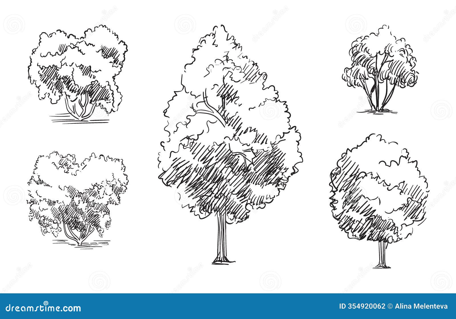 Hand Drawing Sketch of Trees Vector Illustration Stock Illustration ...