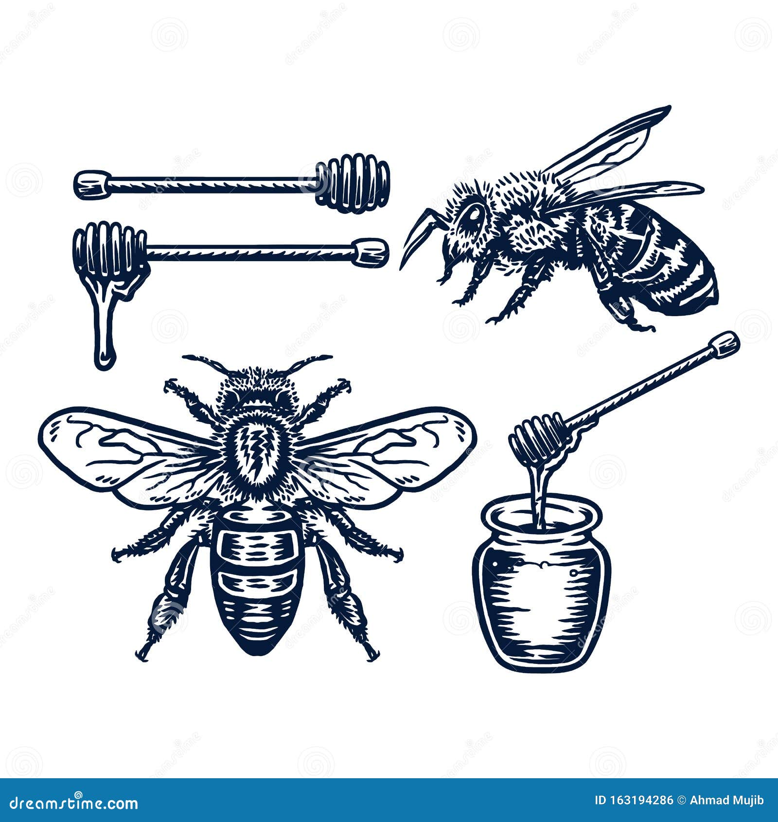 Hand Drawing Style with a Honey Bee Object Stock Vector - Illustration ...