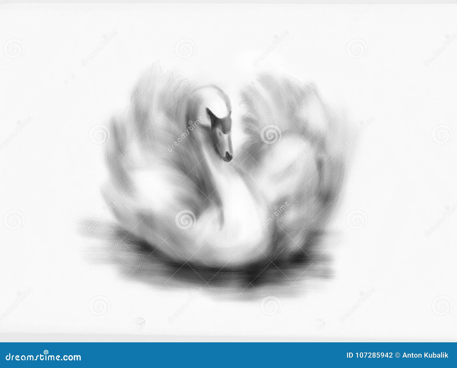 Hand Drawing Swan. Digital Illustration Stock Illustration ...