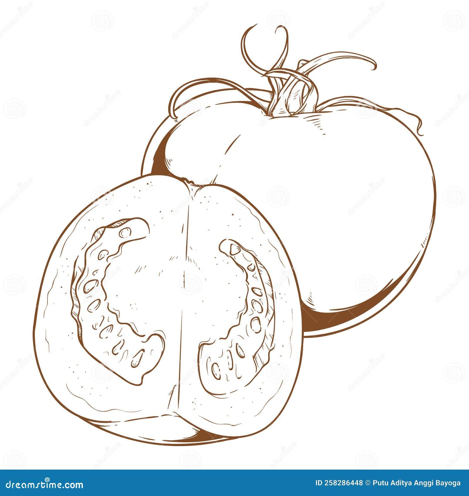 Hand drawing tomato stock vector. Illustration of hand - 258286448