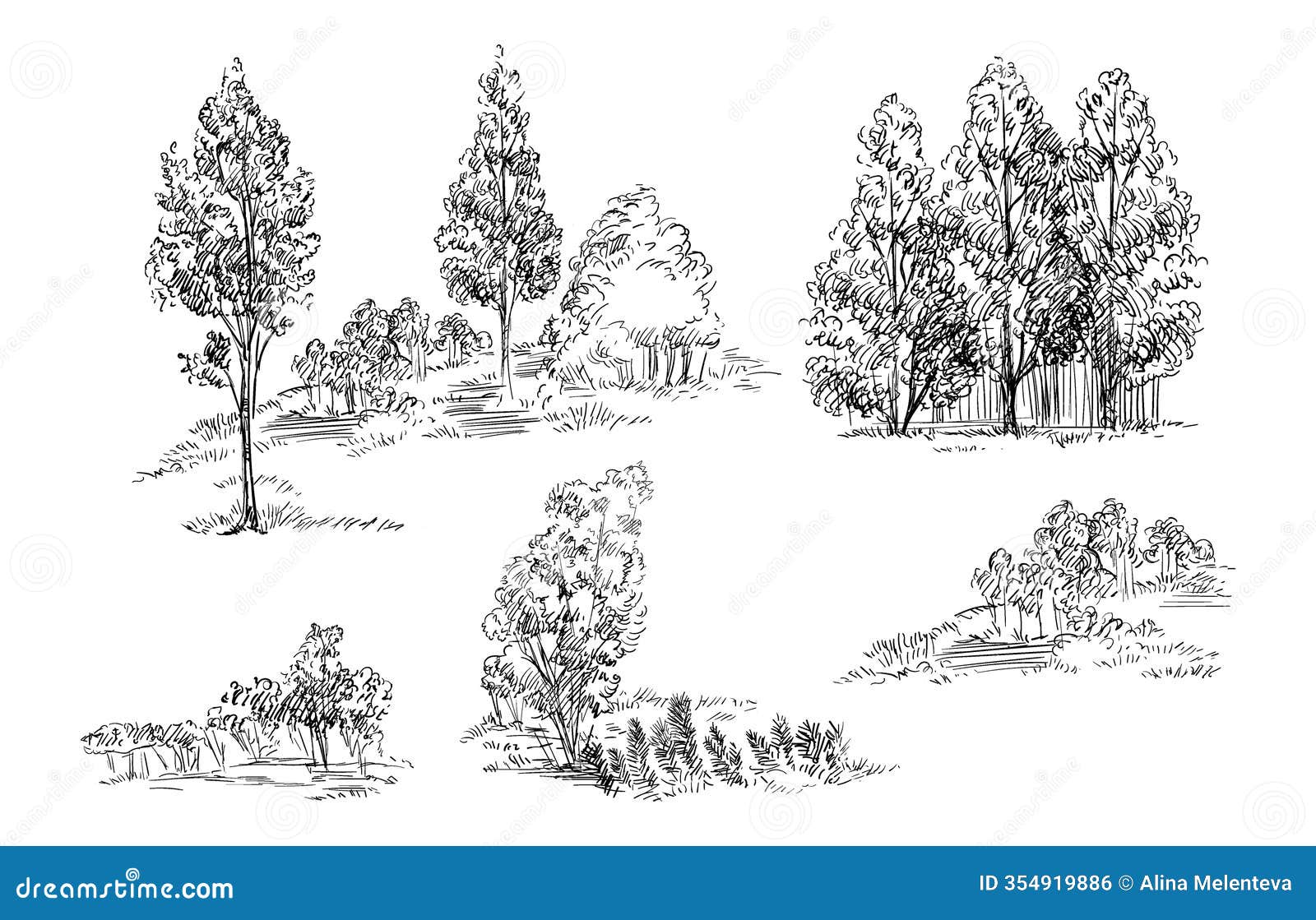 Hand Drawing Trees and Shrubs Set Vector Illustration Stock ...