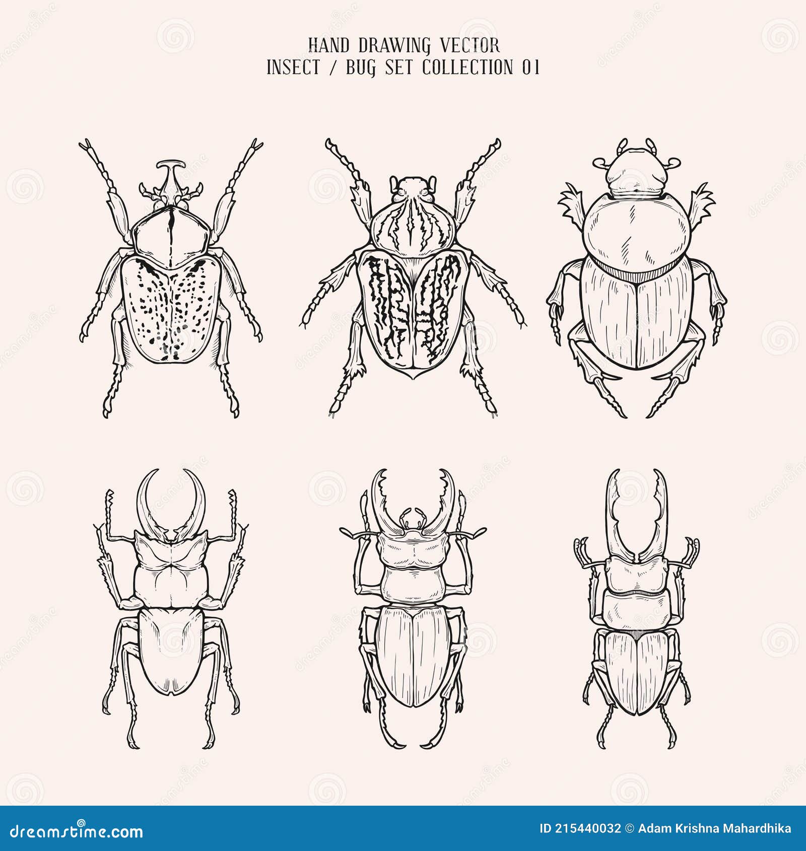 Hand Drawing Vector Insects and Bugs Collection 01 Stock Vector ...