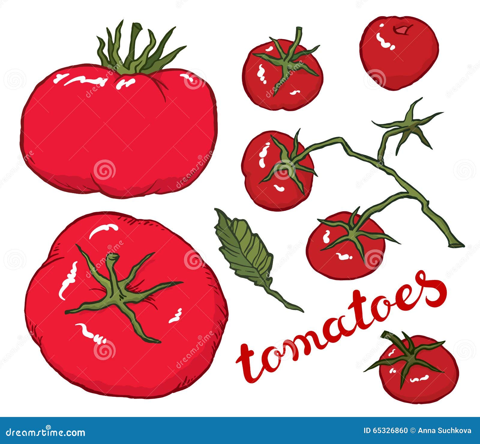 Hand Drawing Vector Red Tomato Stock Vector - Illustration of hand ...
