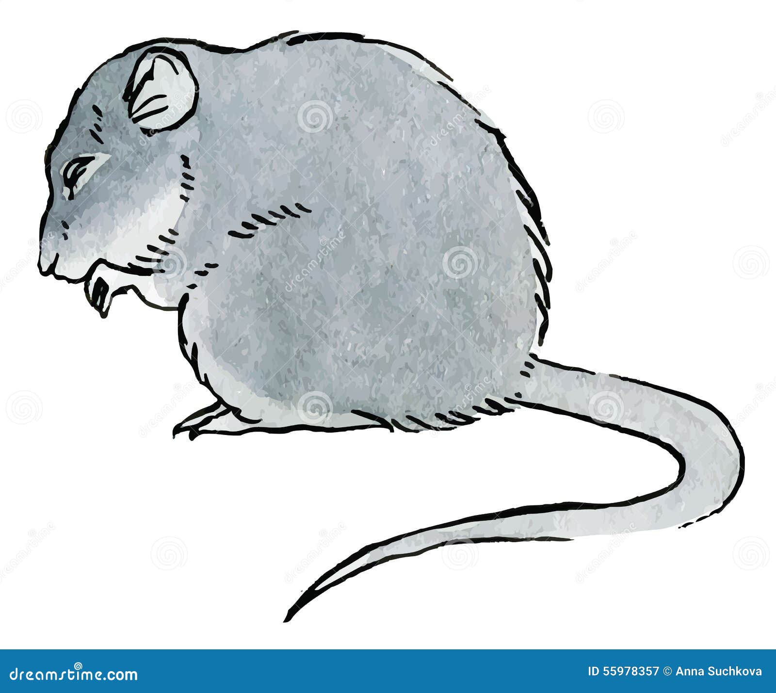 Hand Drawing Watercolor Rat Stock Vector - Illustration of sketch ...