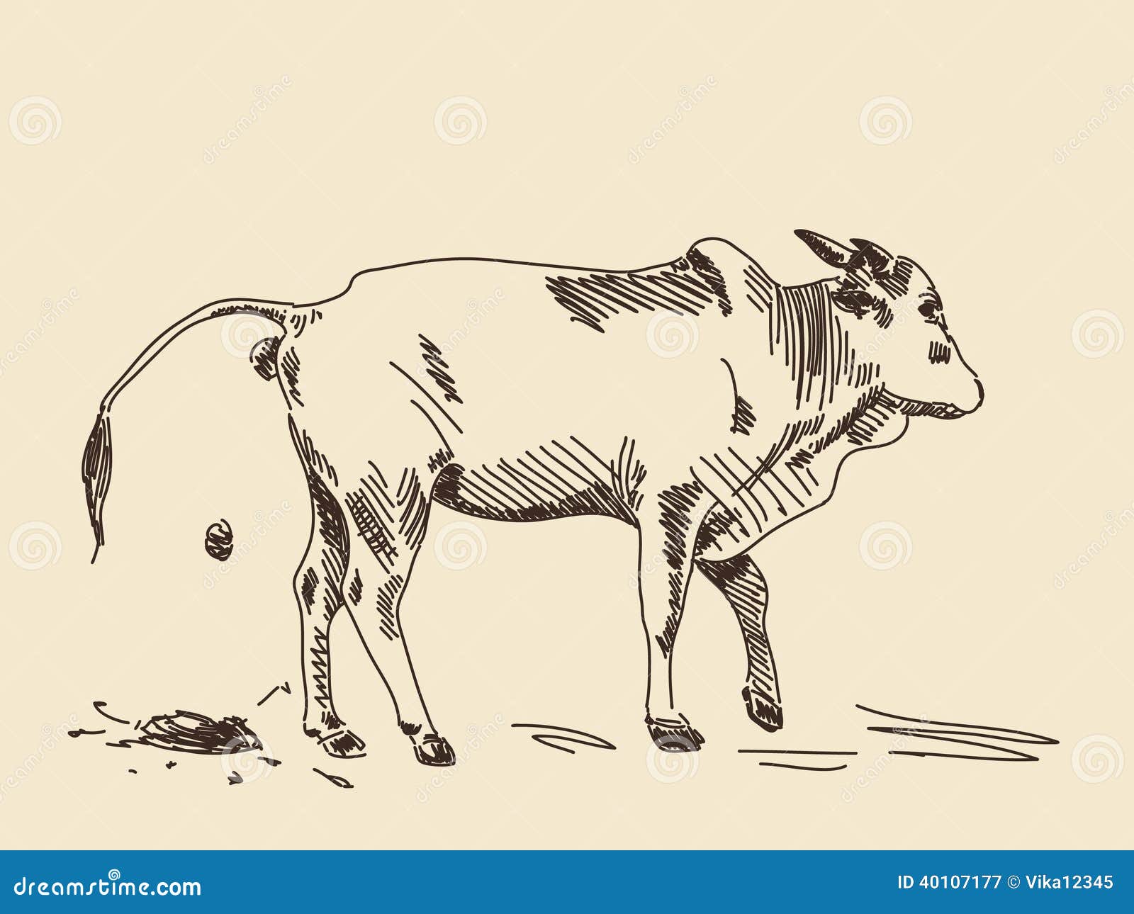 Zebu Bull Stylized Childish Drawing Vector Illustration | CartoonDealer ...