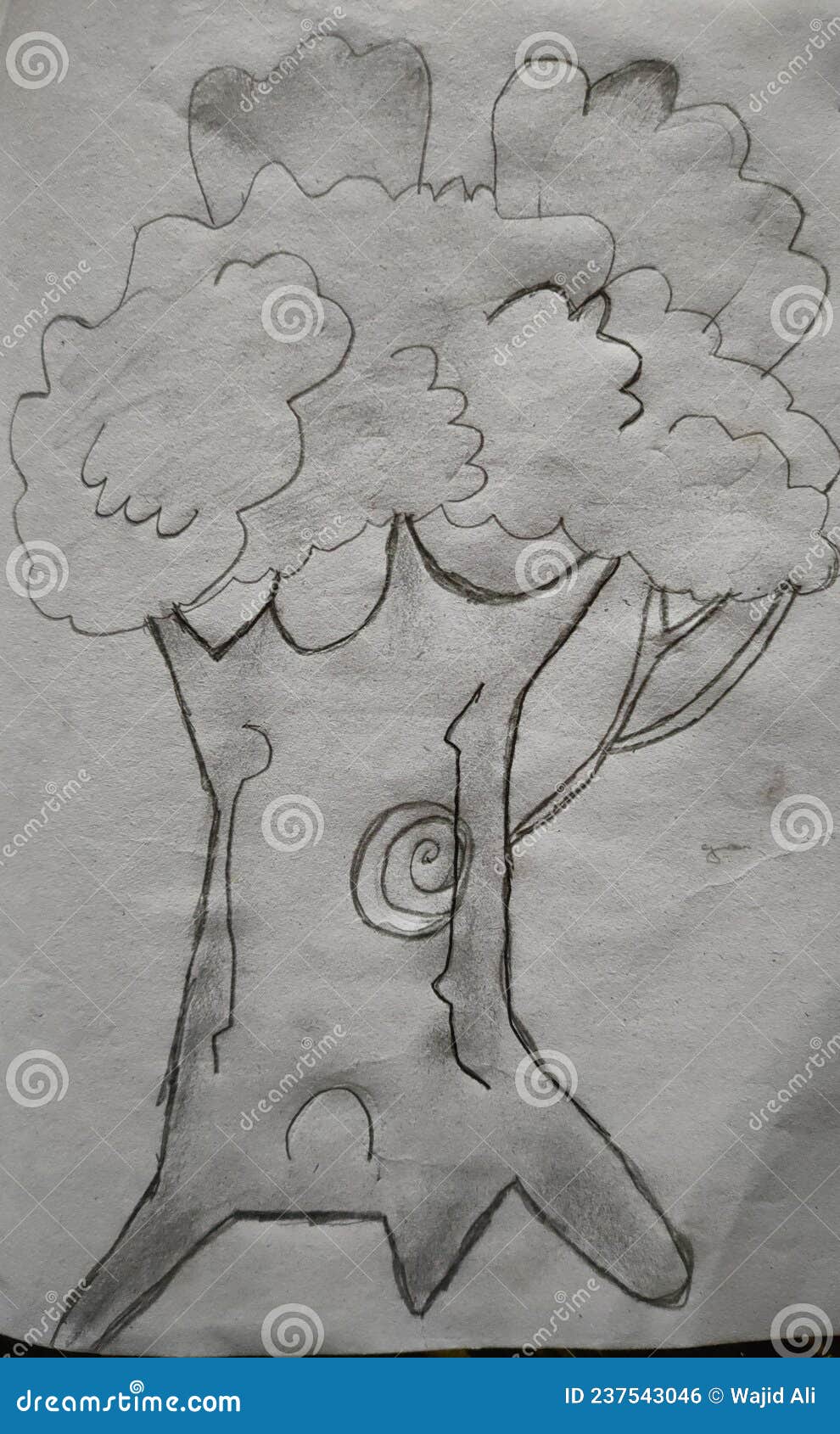 Hand DrawingTree, Tree Drawing Stock Photo - Image of monochrome ...