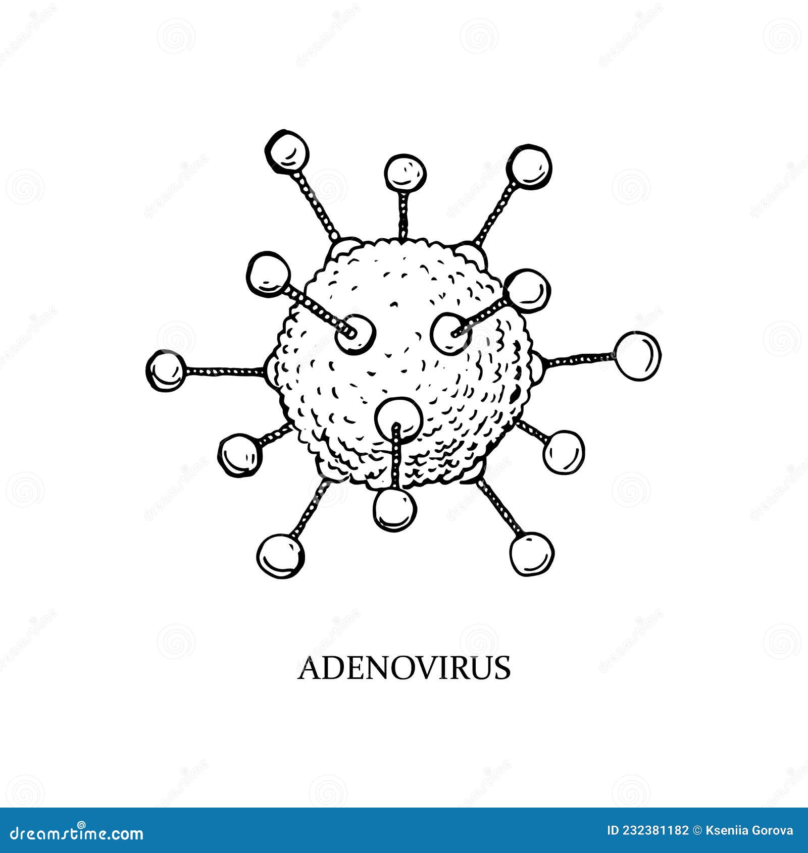 Adenovirus Virus Particle Structure Stock Photography | CartoonDealer ... Adenovirus Virus Particle Structure Stock Photography | CartoonDealer ...