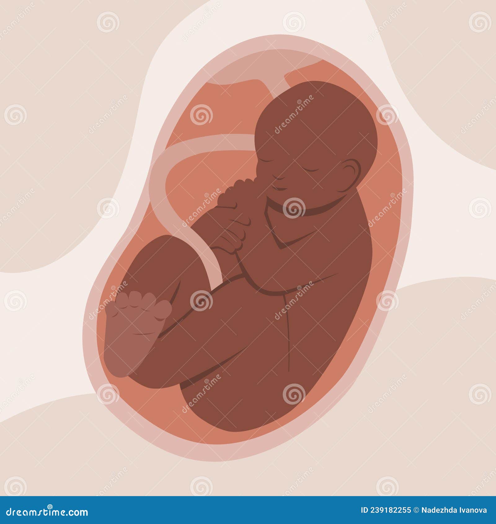 Hand Drawn Adorable Fetus Illustration Vector Illustration. Stock ...