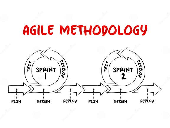 Hand Drawn Agile Software Development Methodology, Business Infographic ...