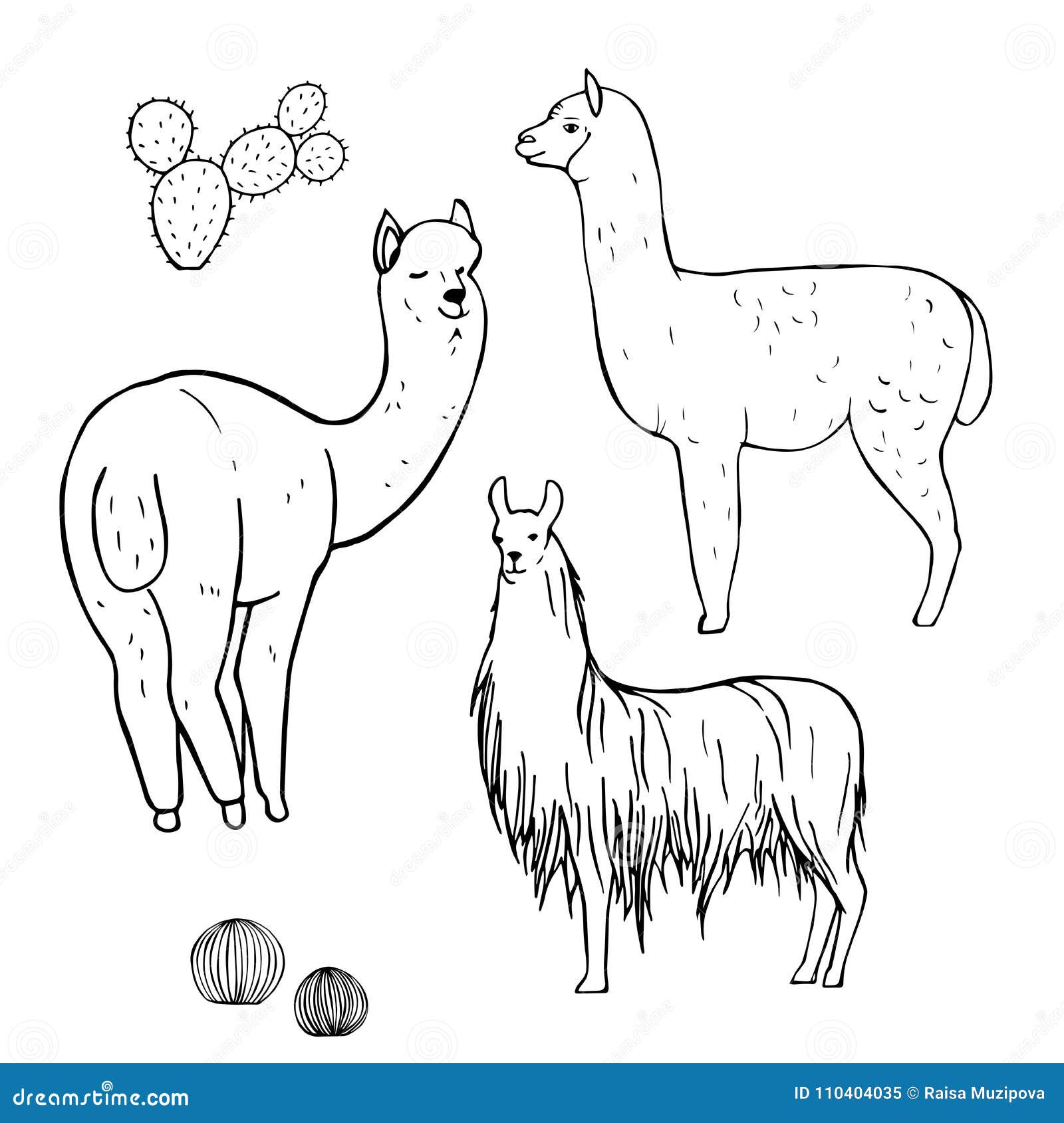 Hand Drawn Alpacas. Vector Sketch Illustration. | CartoonDealer.com ...