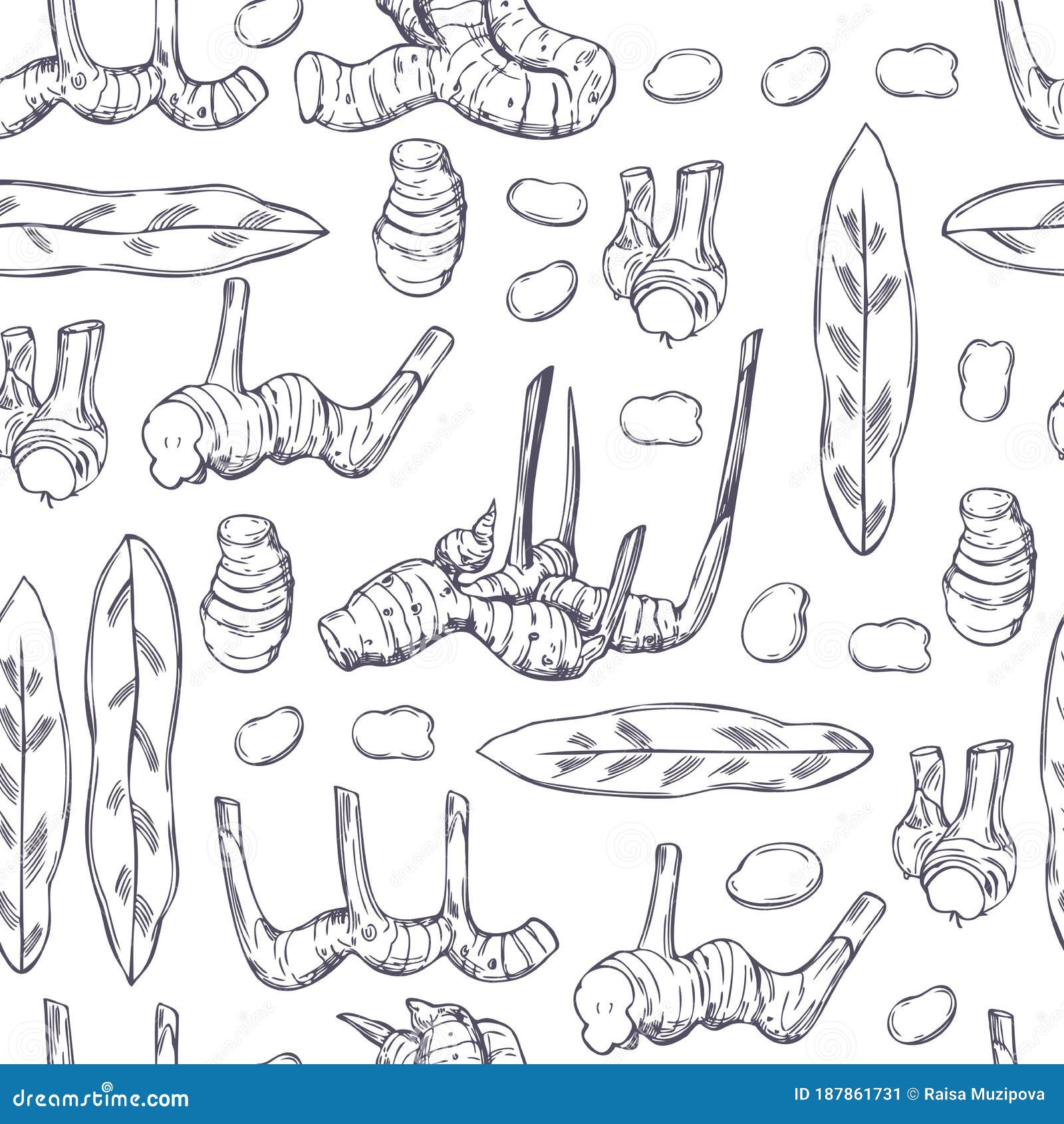 Galangal, Root, Leaves. Vector Pattern Stock Vector - Illustration of ...