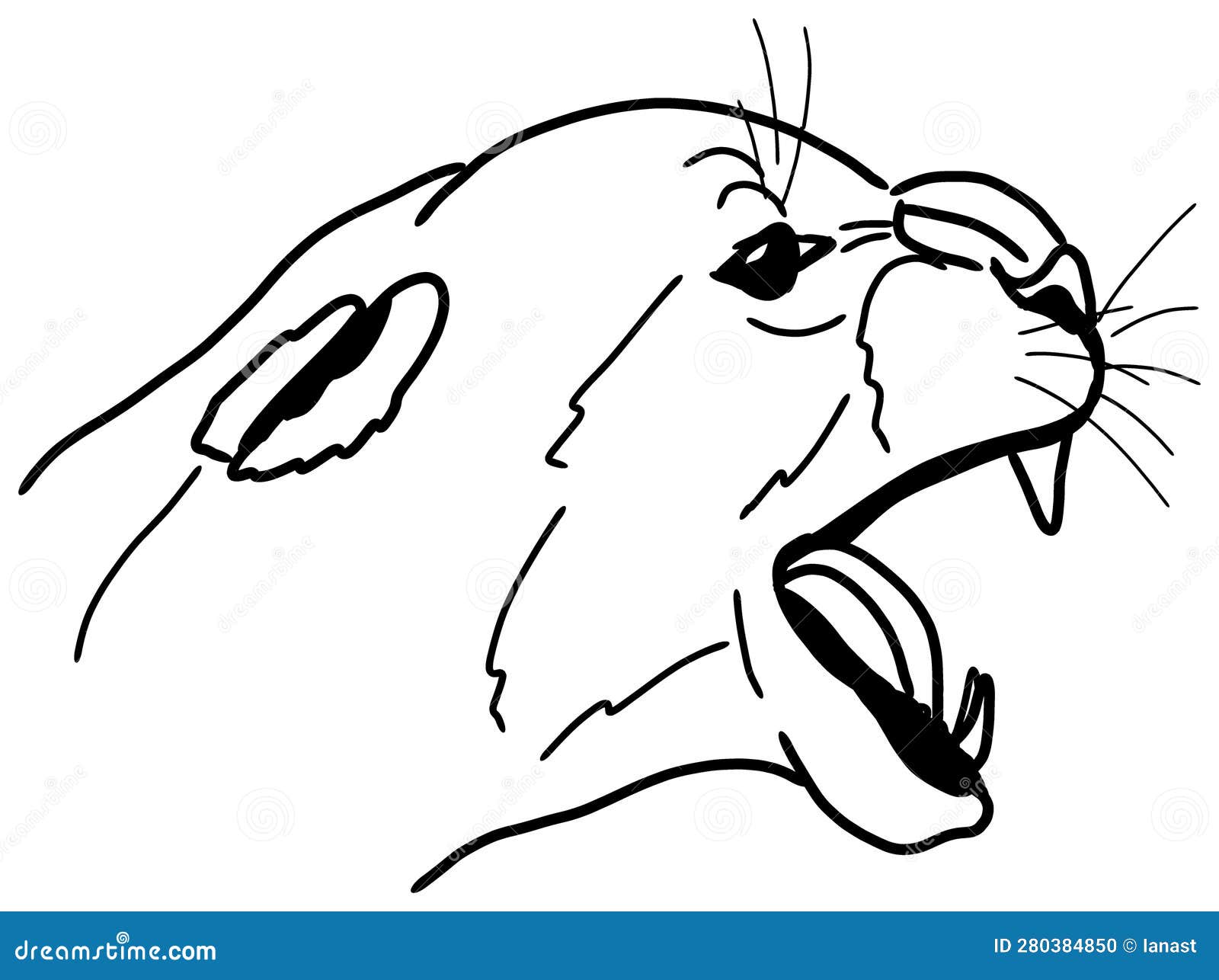 Hand Drawn, Angry Cougar Head Stock Vector - Illustration of line ...