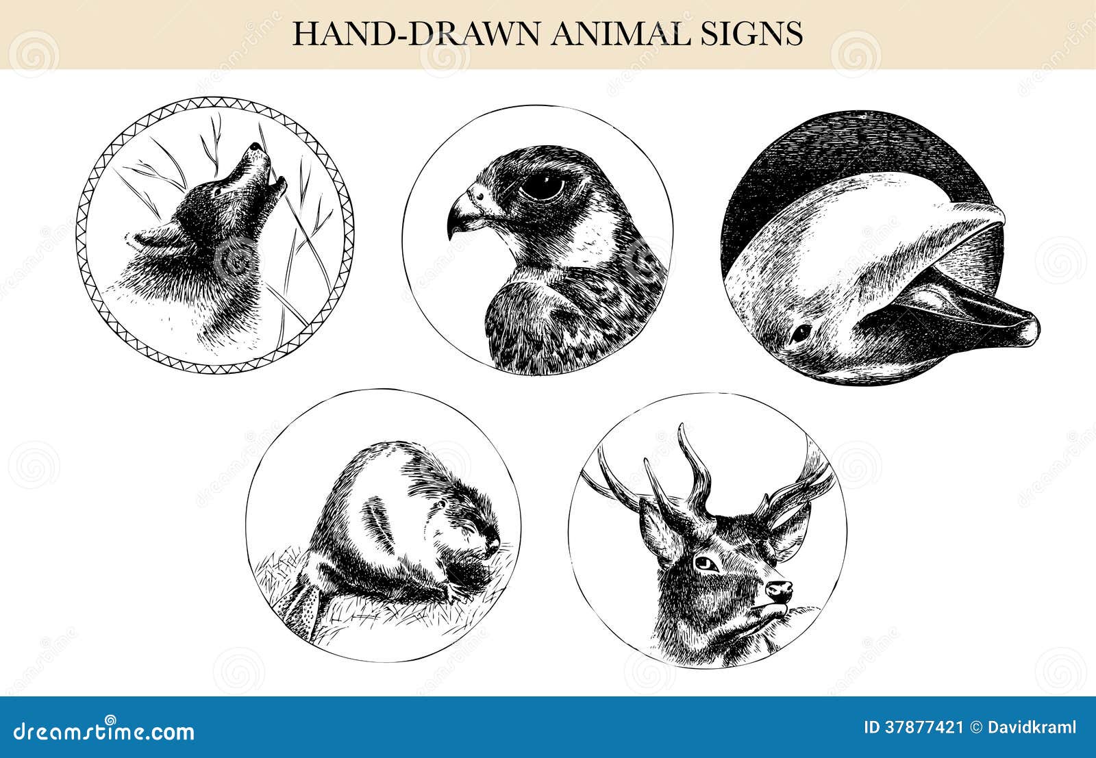 Hand-drawn Animal Signs Set Stock Vector - Illustration of bird, water ...