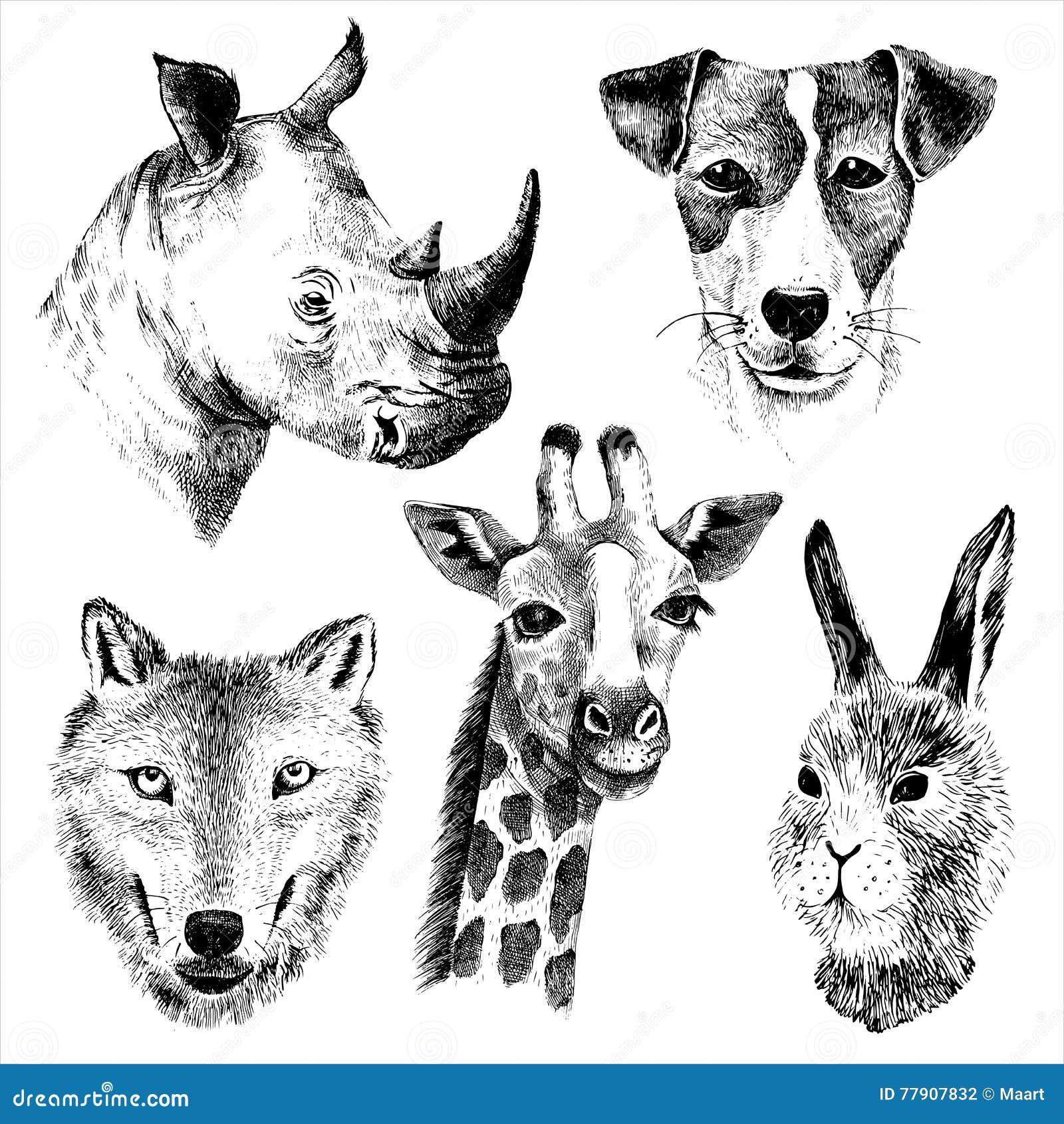 Hand drawn animals set stock vector. Illustration of danger - 77907832