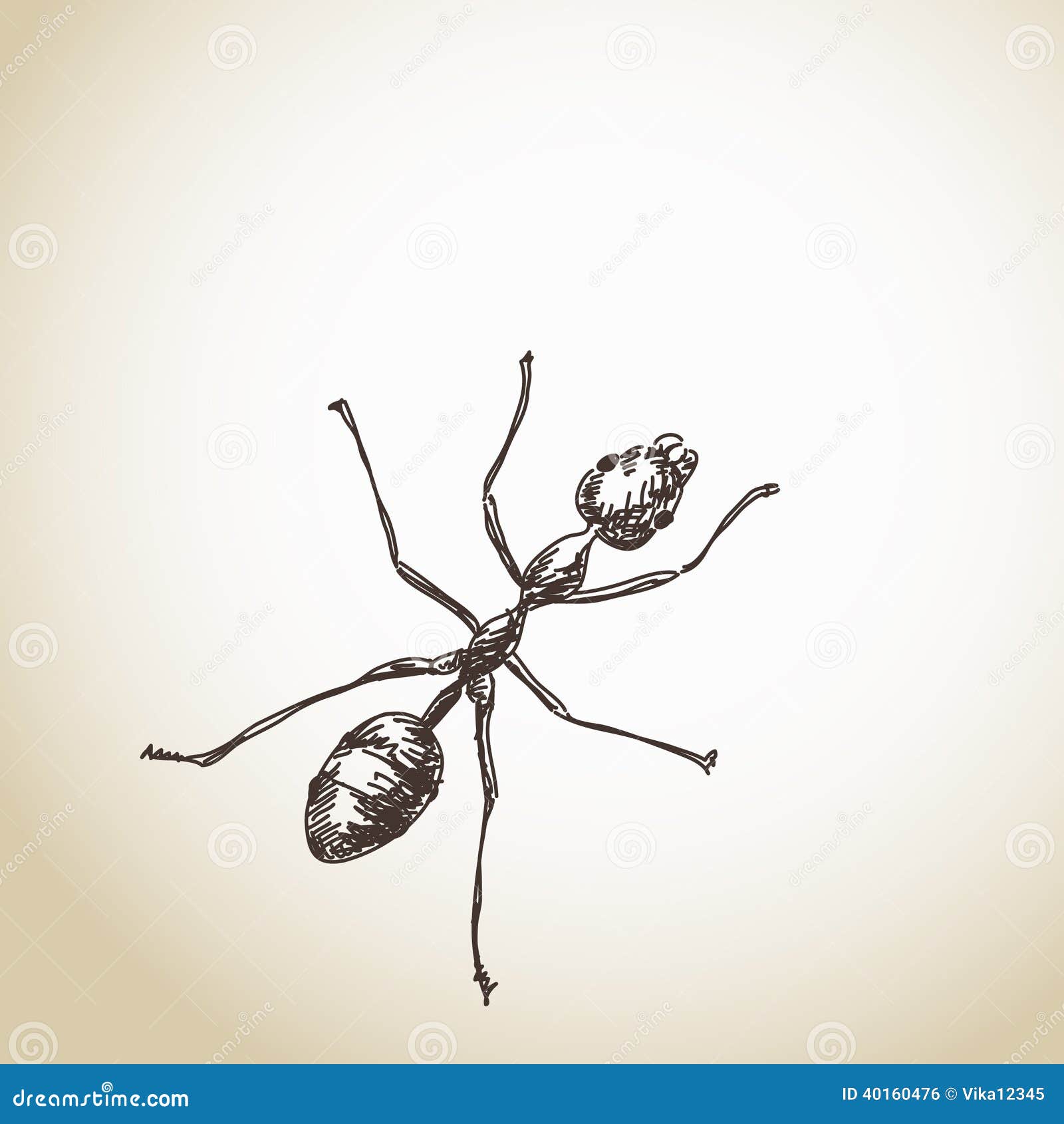 Hand drawn ant stock vector. Illustration of hand, drawn - 40160476